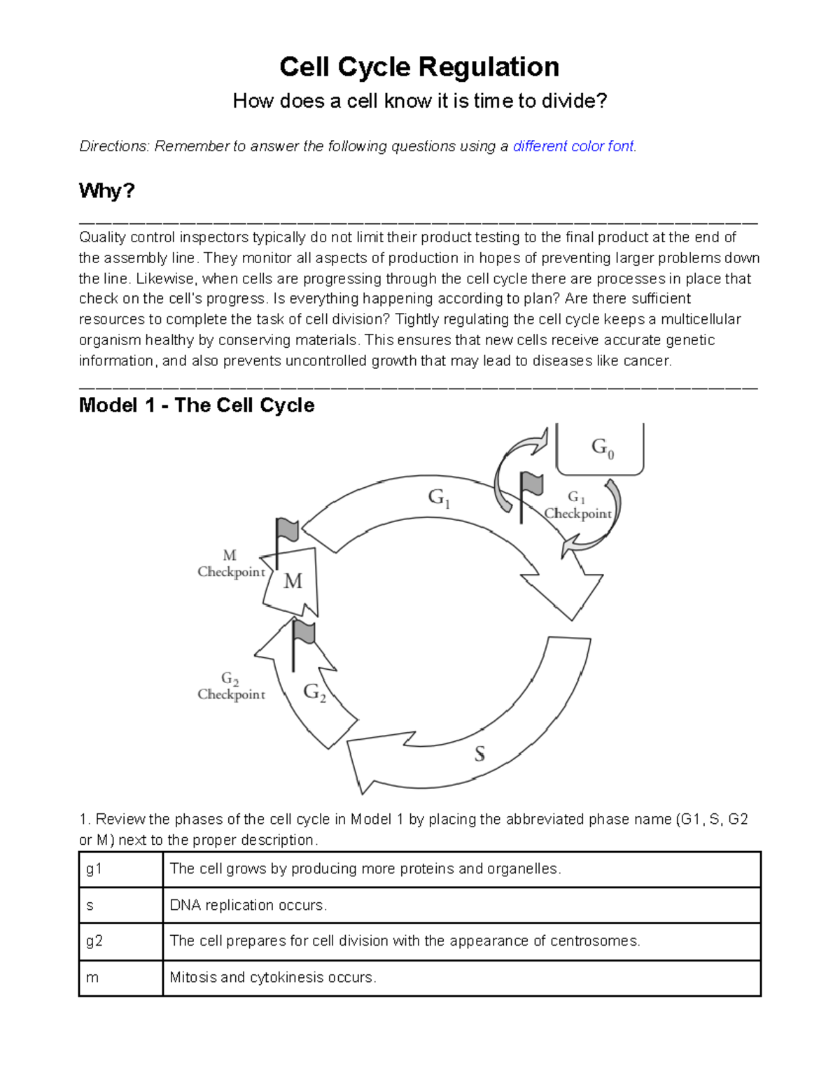 18 Pogil Cell Cycle Regulation Cell Cycle Regulation How Does A Cell