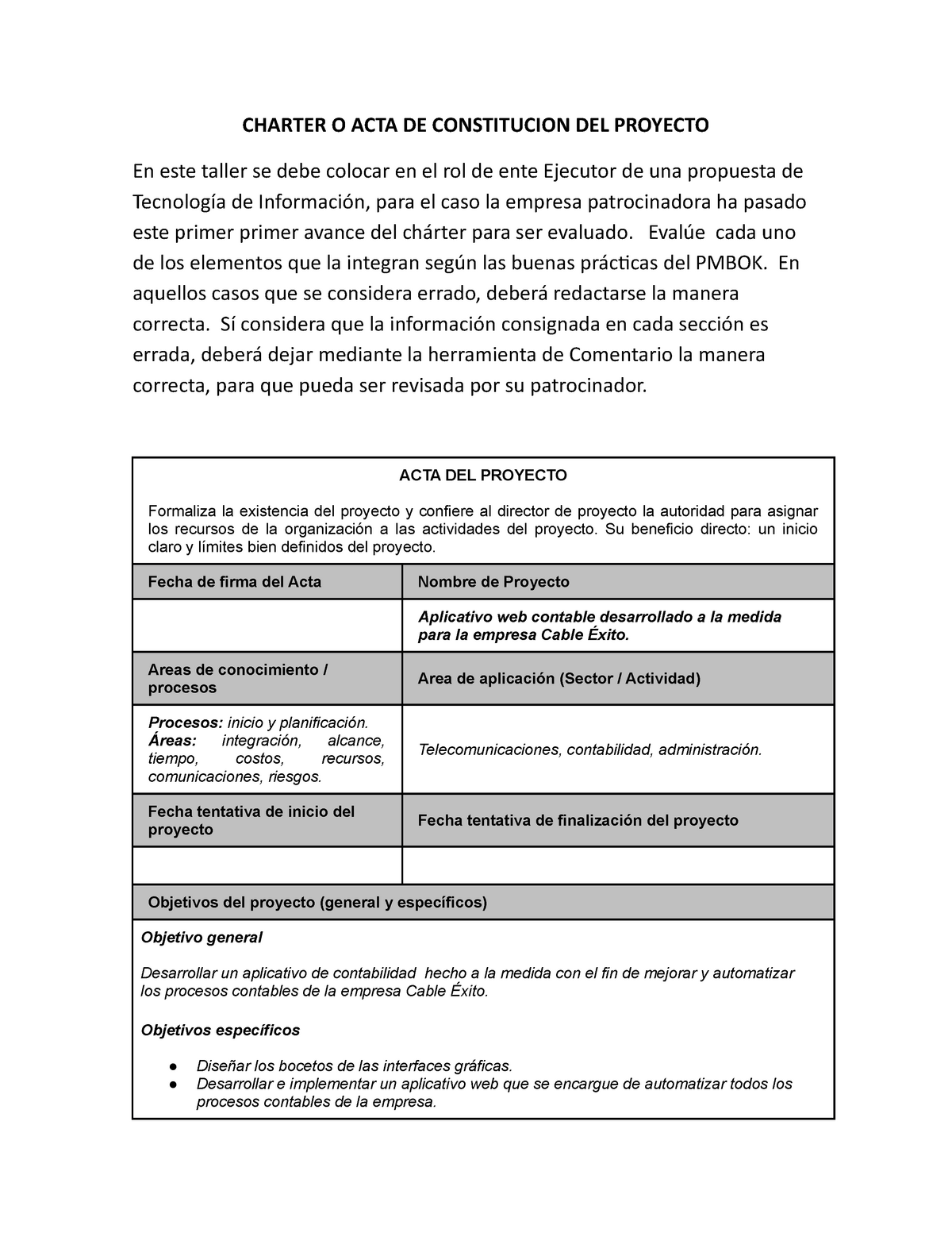 Solution Ejemplo Acta De Constitucion De Un Proyecto Studypool Porn