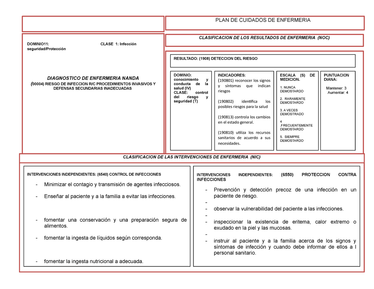 Formato Para Realizar Un Place Plan De Cuidados De Enfermeria