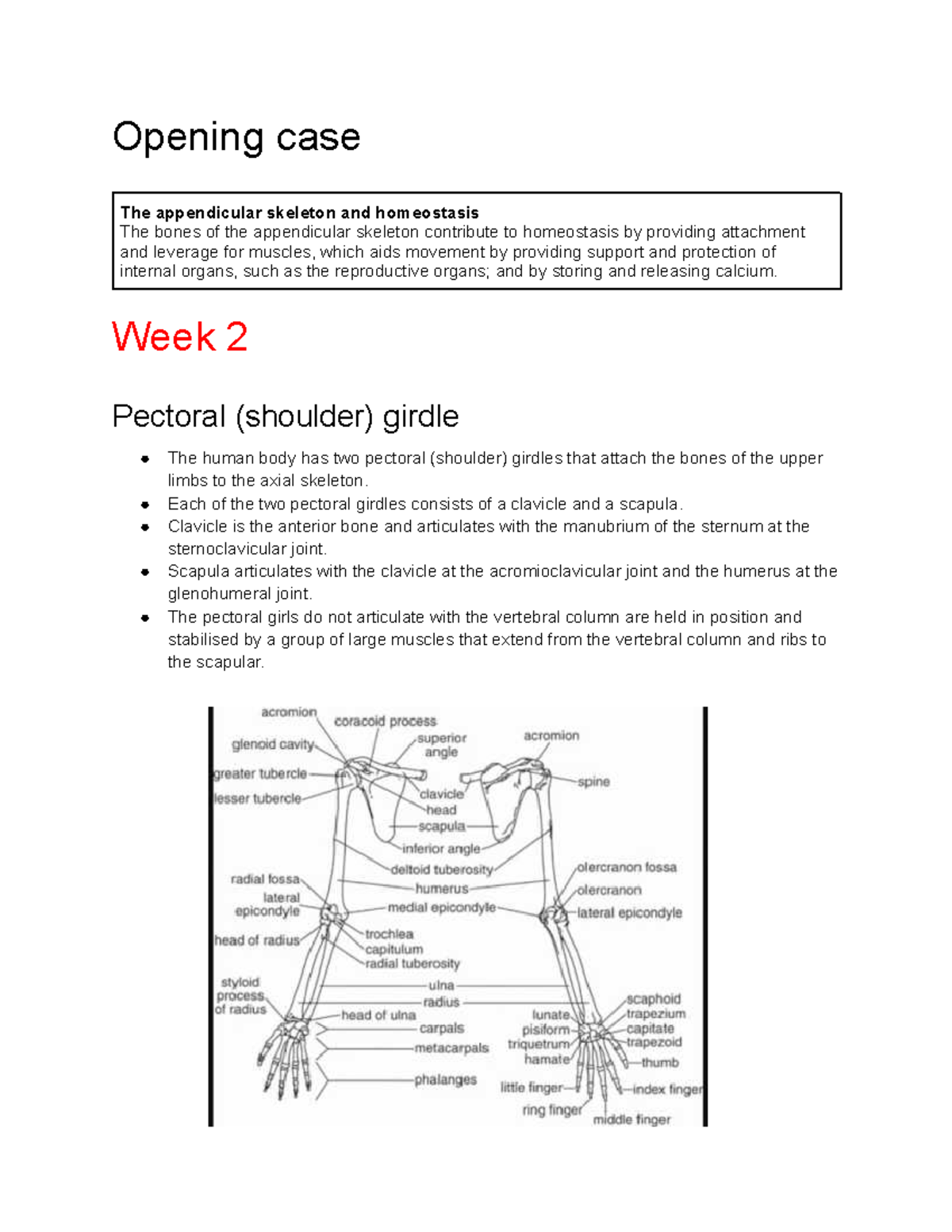 Hubs1105 Reading Weeks 2 3 Opening Case The Appendicular Skeleton