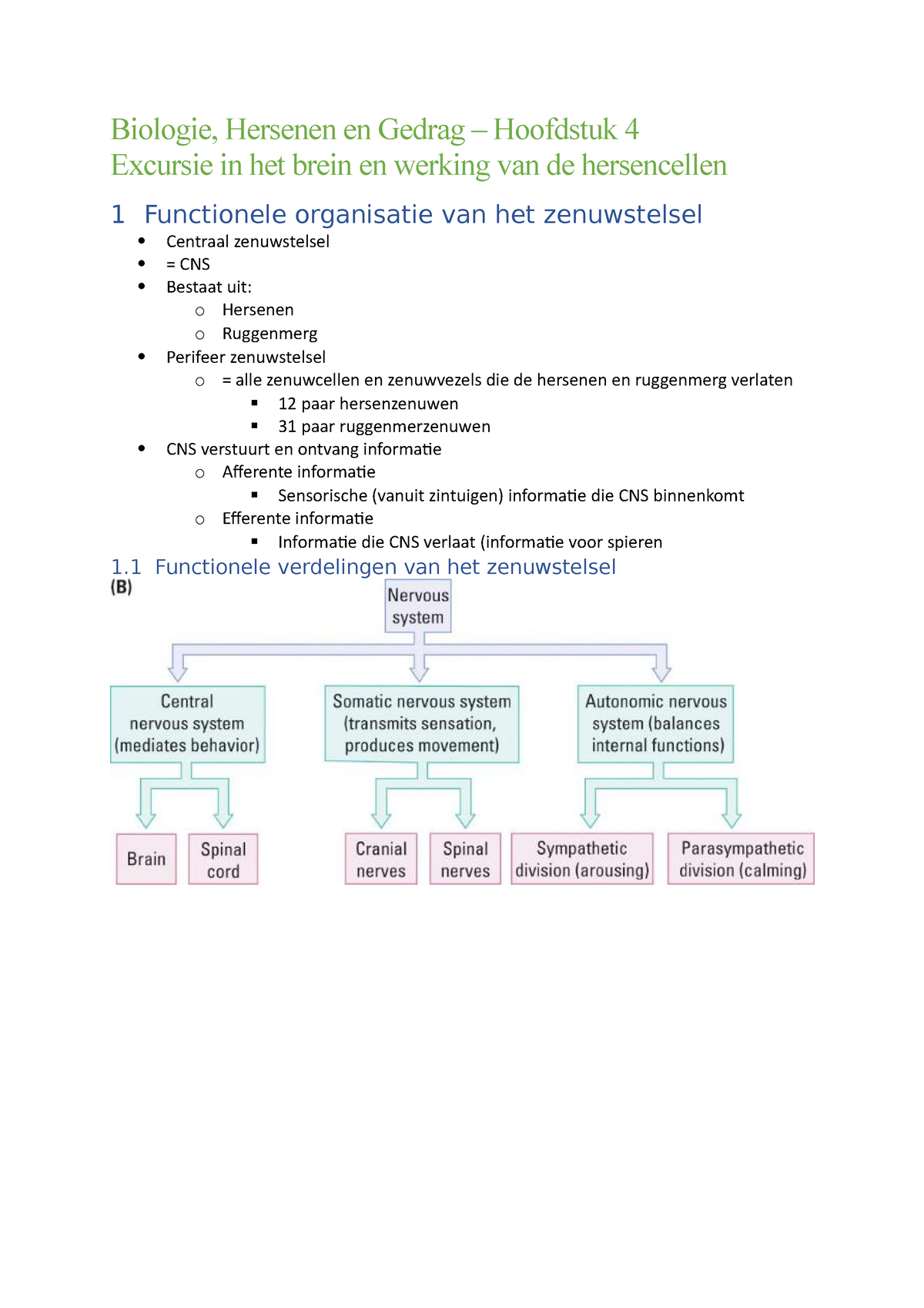 Biologie Hersenen En Gedrag Hoofdstuk 4 Biologie Hersenen En