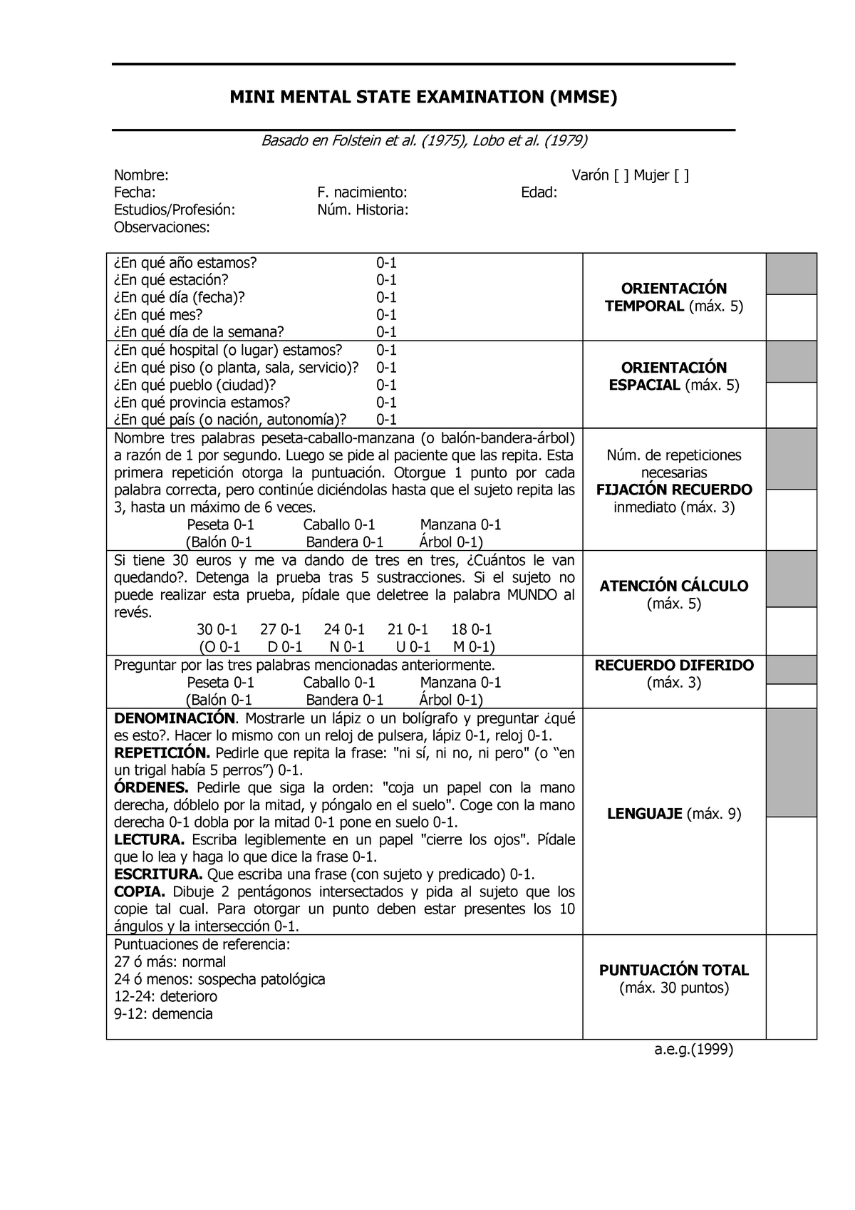 Mini Mental State Examination Mmse