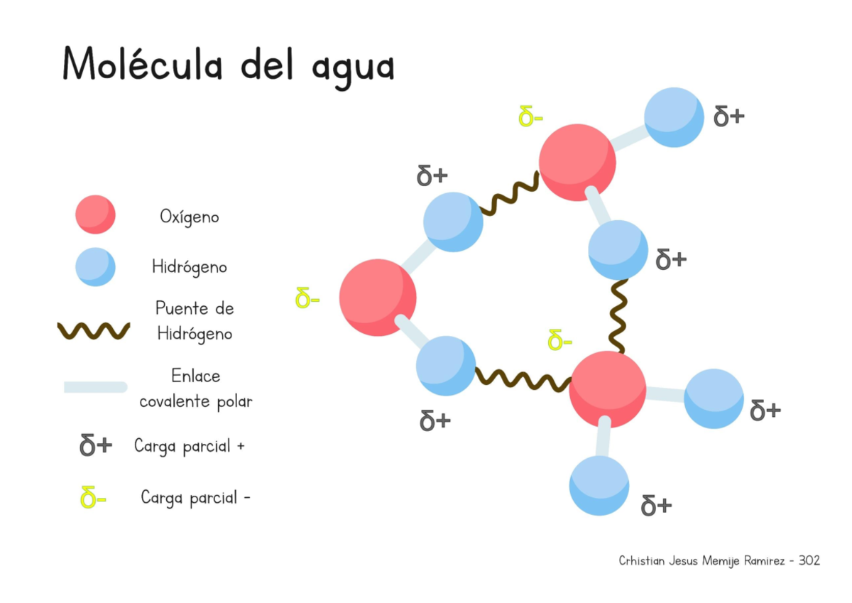 Modelo De Química De Elementos Científicos Da Molécula De água H2o