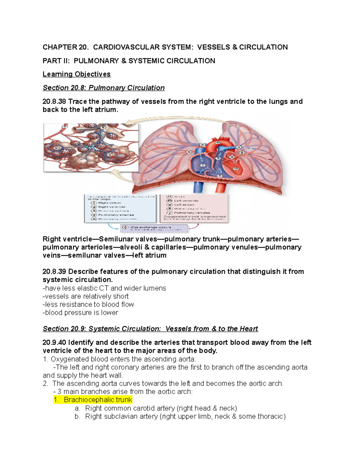 Lecture 5 Terms Objectives Chapter 20 Cardiovascular System