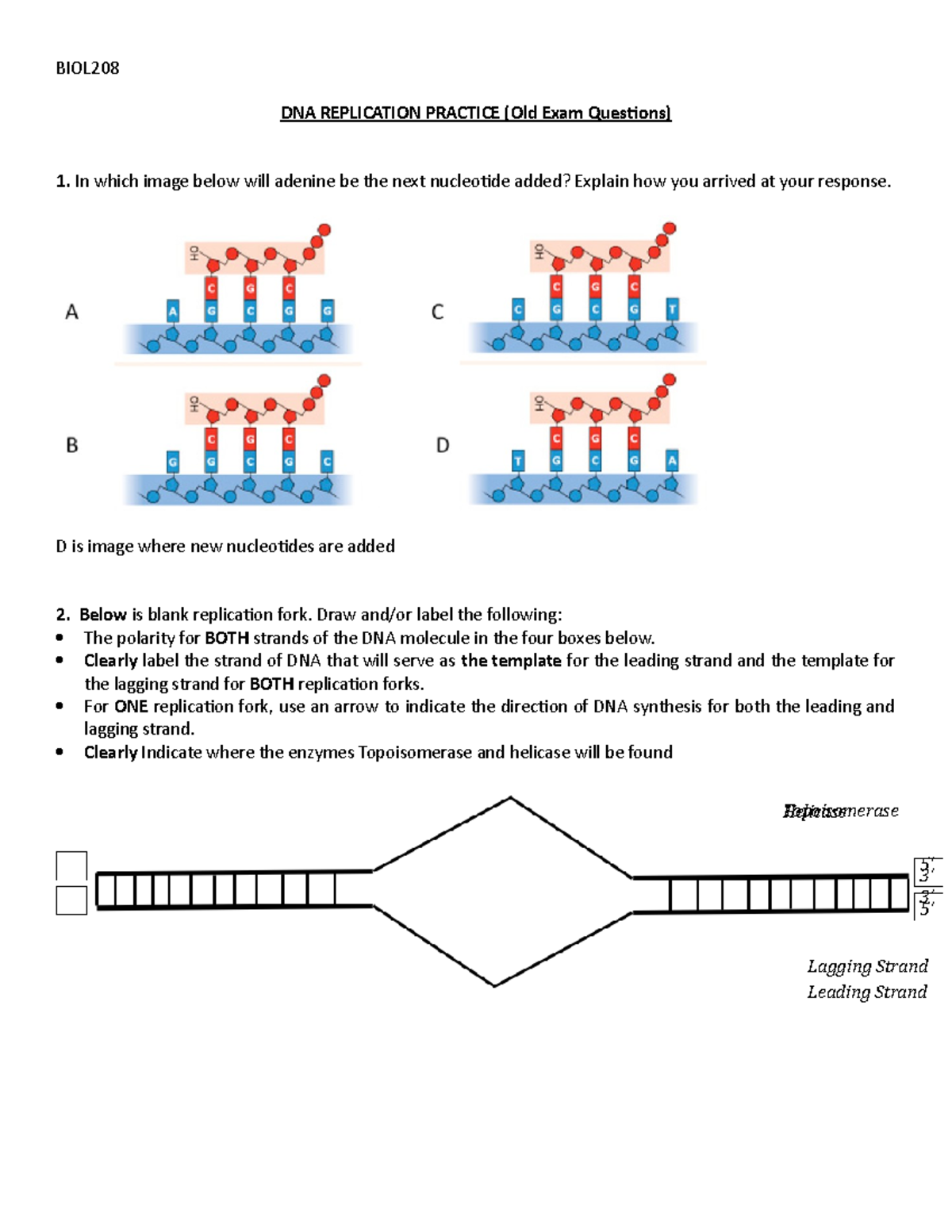 Module 8 Dna Replication Questions Biol Dna Replication Practice Old