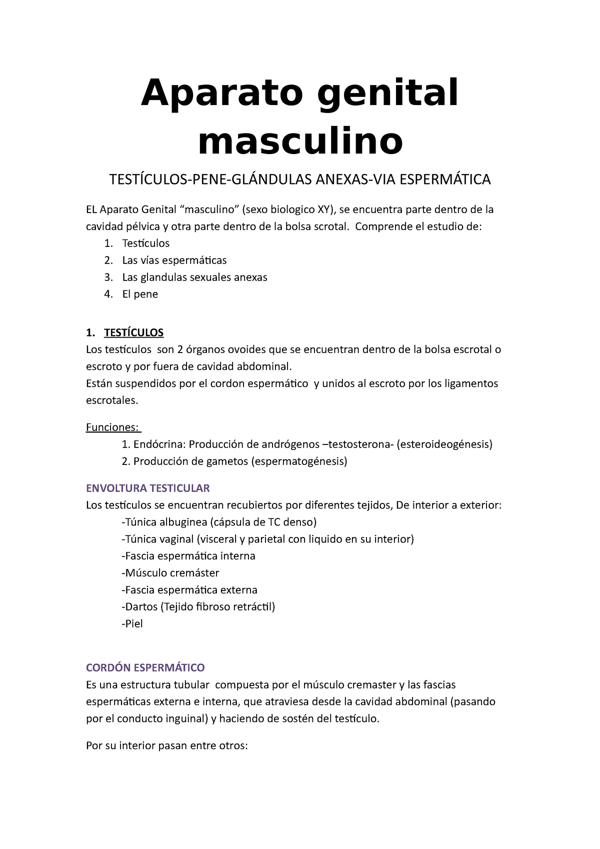 8 Aparato Genital Masculino Aparato Genital Masculino TestÍculos