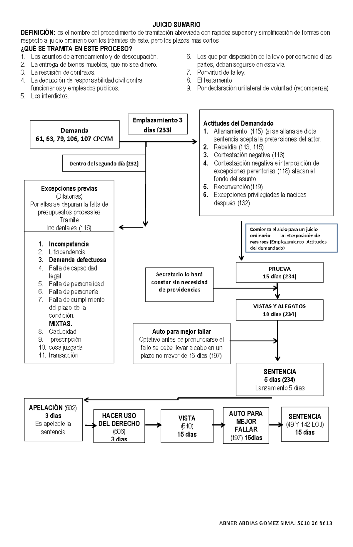 Esquemas Del Juicio Sumario Dentro Del Código Procesal Civil Y