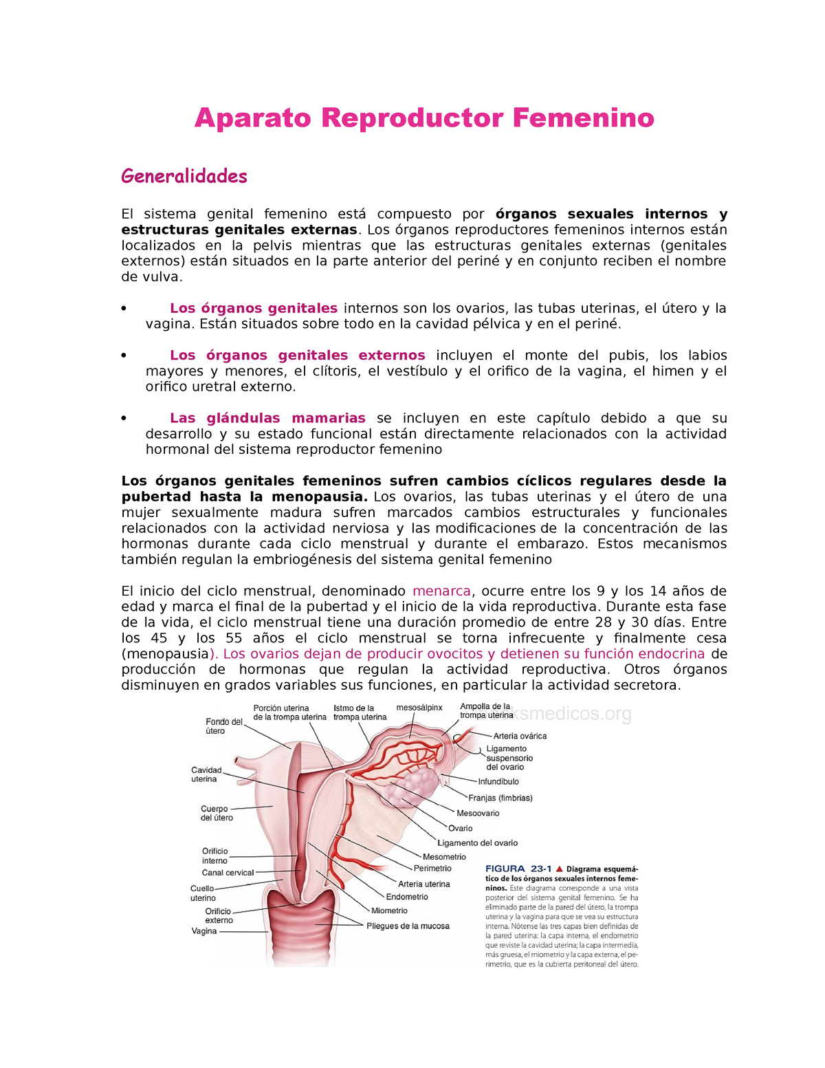 Aparato Reproductor Femenino Aparato Reproductor Femenino