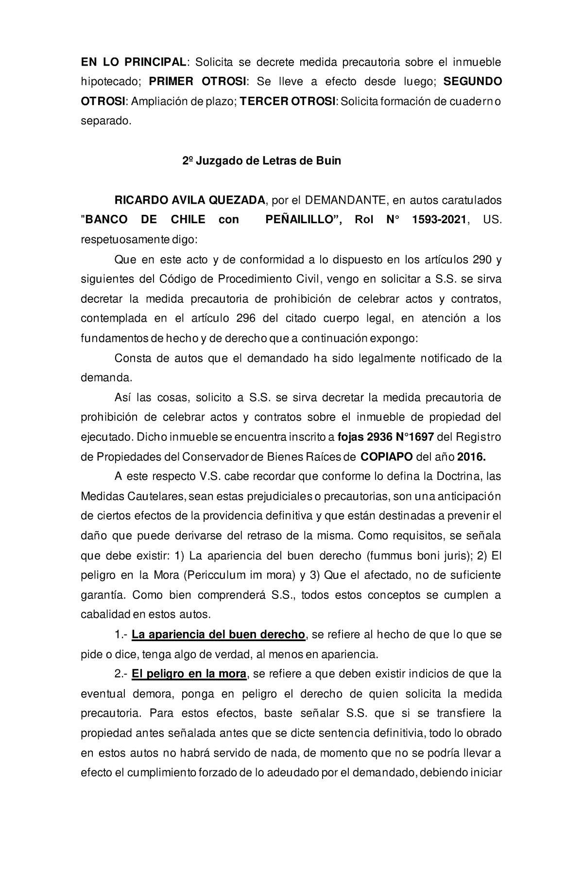 Demanda De Solicitud De Medida Precautoria