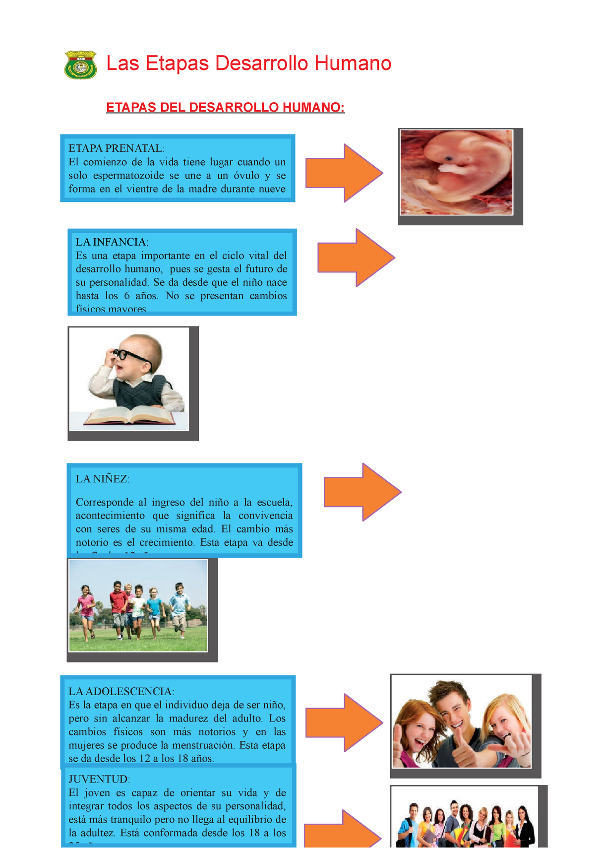 Las Etapas Desarrollo Humano Para Tercero De Primaria Las Etapas