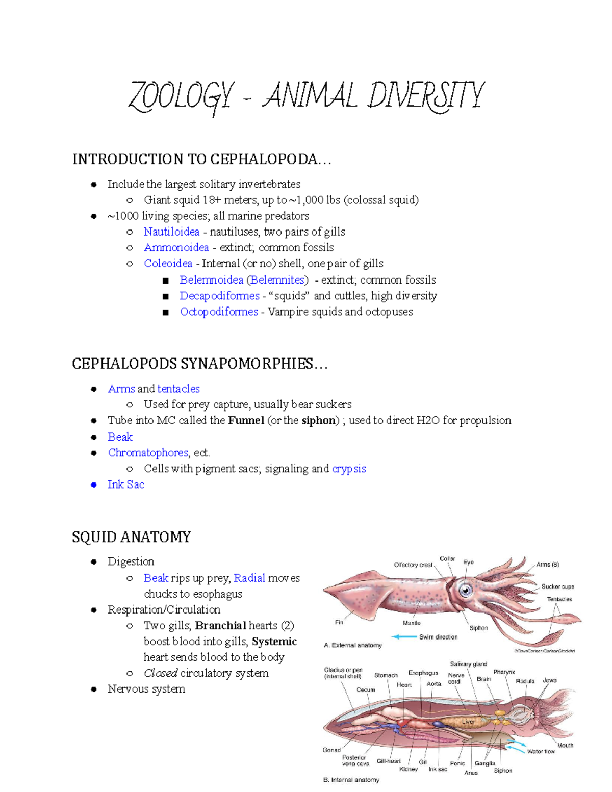 Zoology Notes Part 13 Zoology Animal Diversity Introduction To