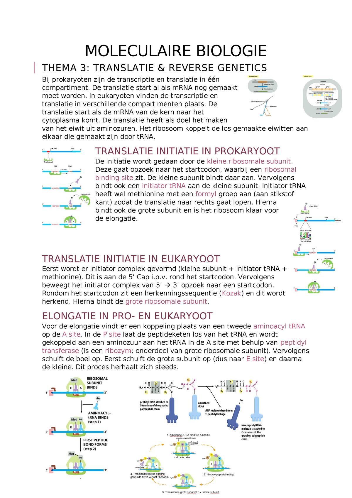 Molbio Thema 3 Samenvatting Moleculaire Biologie Moleculaire