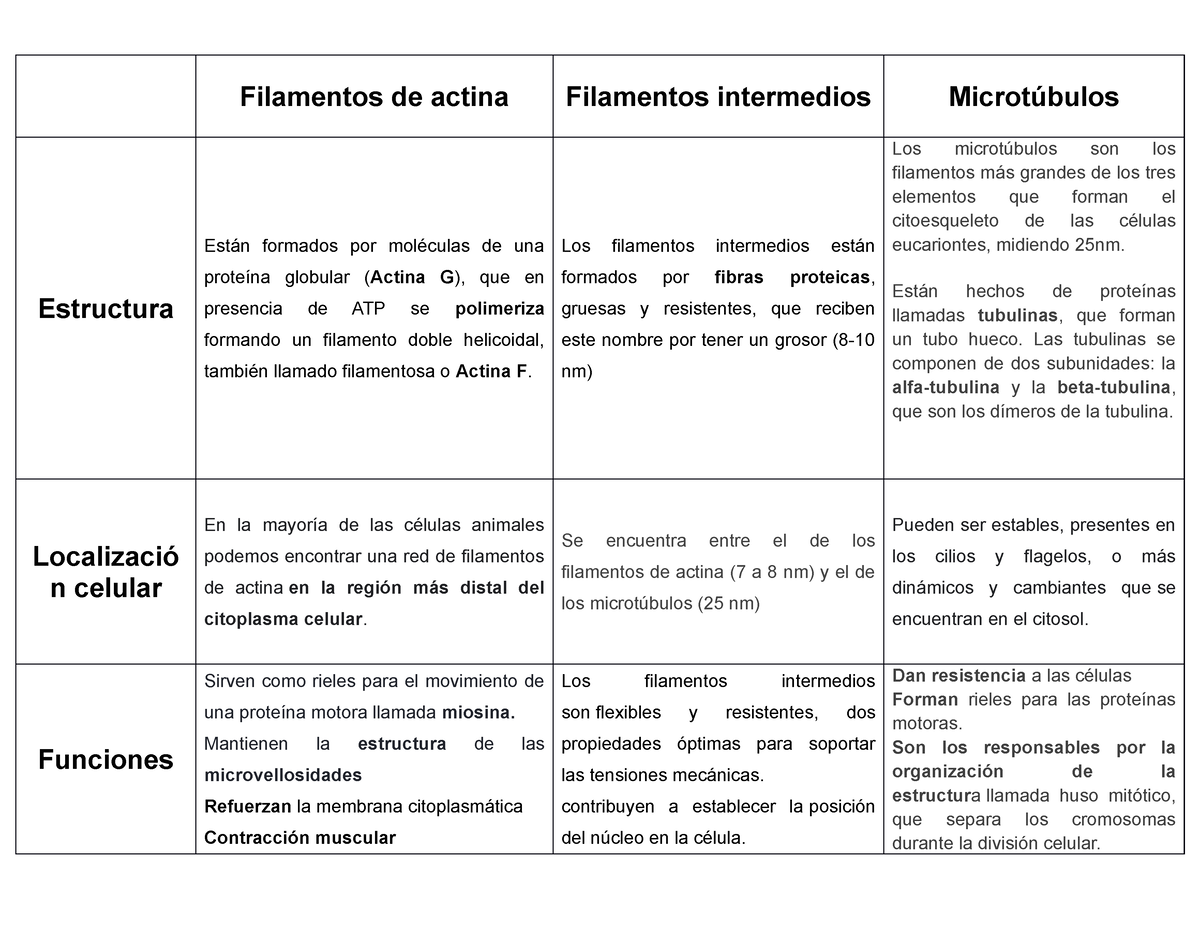 Tabla Citoesqueleto Filamentos De Actina Filamentos Intermedios