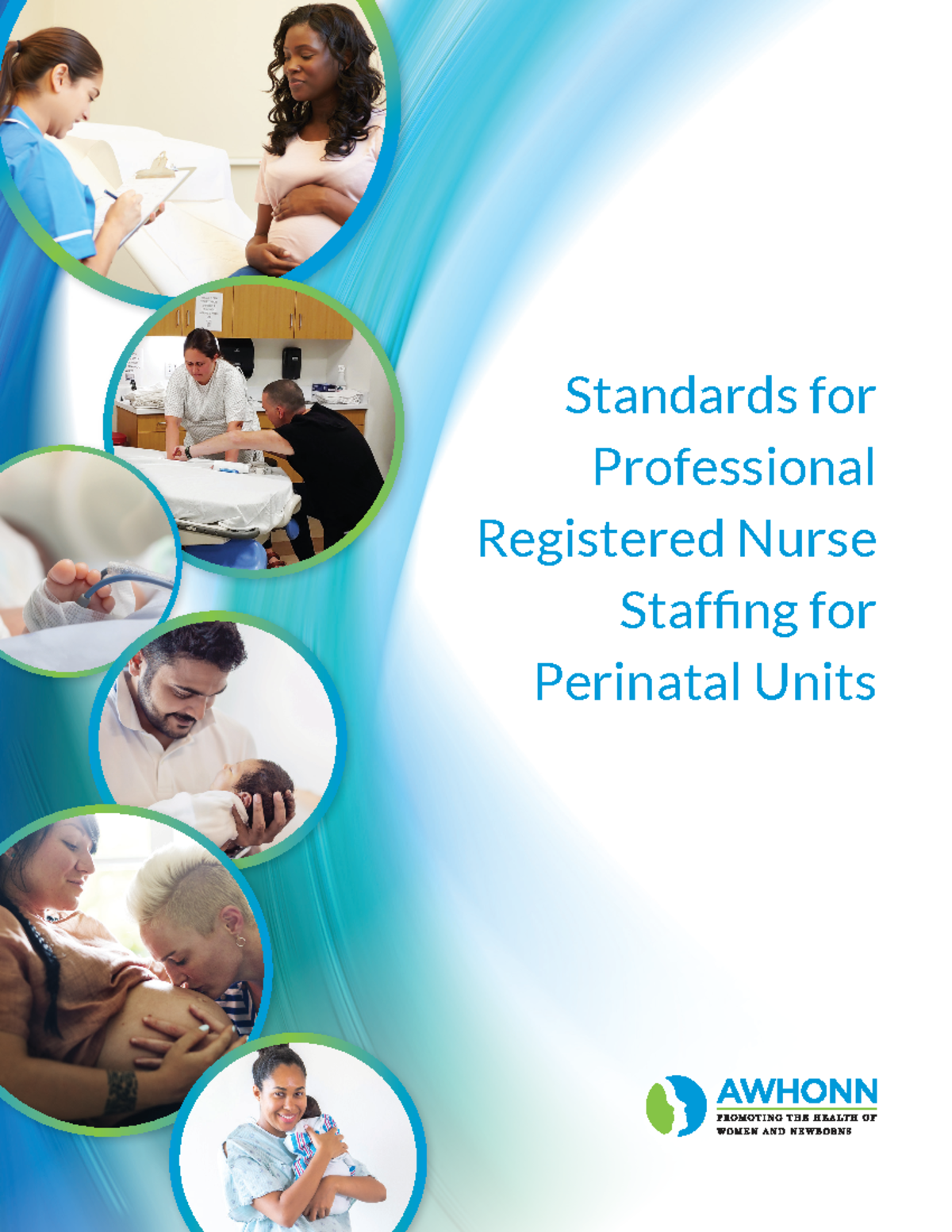 2022 Awhonn Staffing Guidelines Standards For Professional Registered