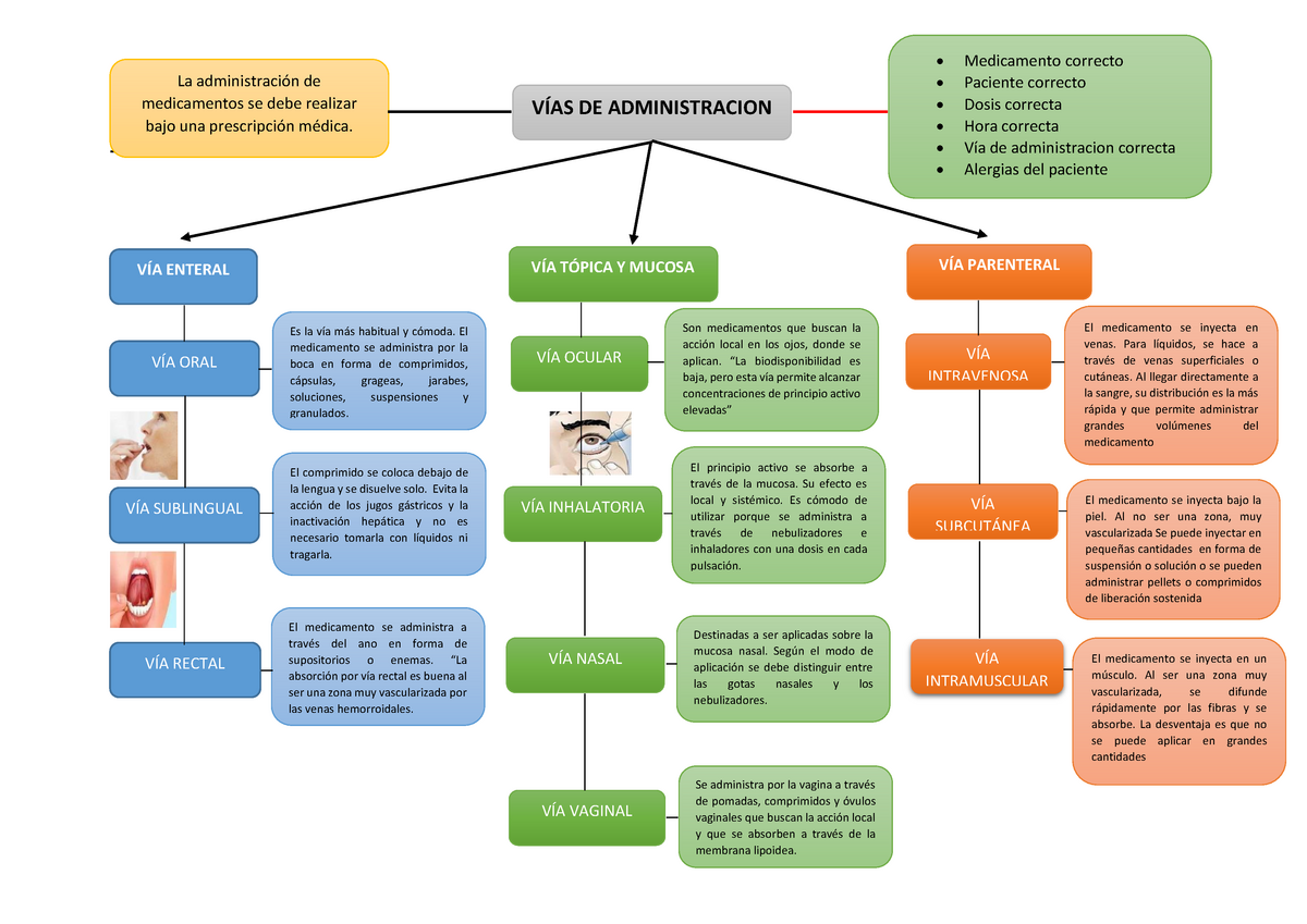 Administracion De Medicamentos Mapa Conceptual Mapa Conseptual Images