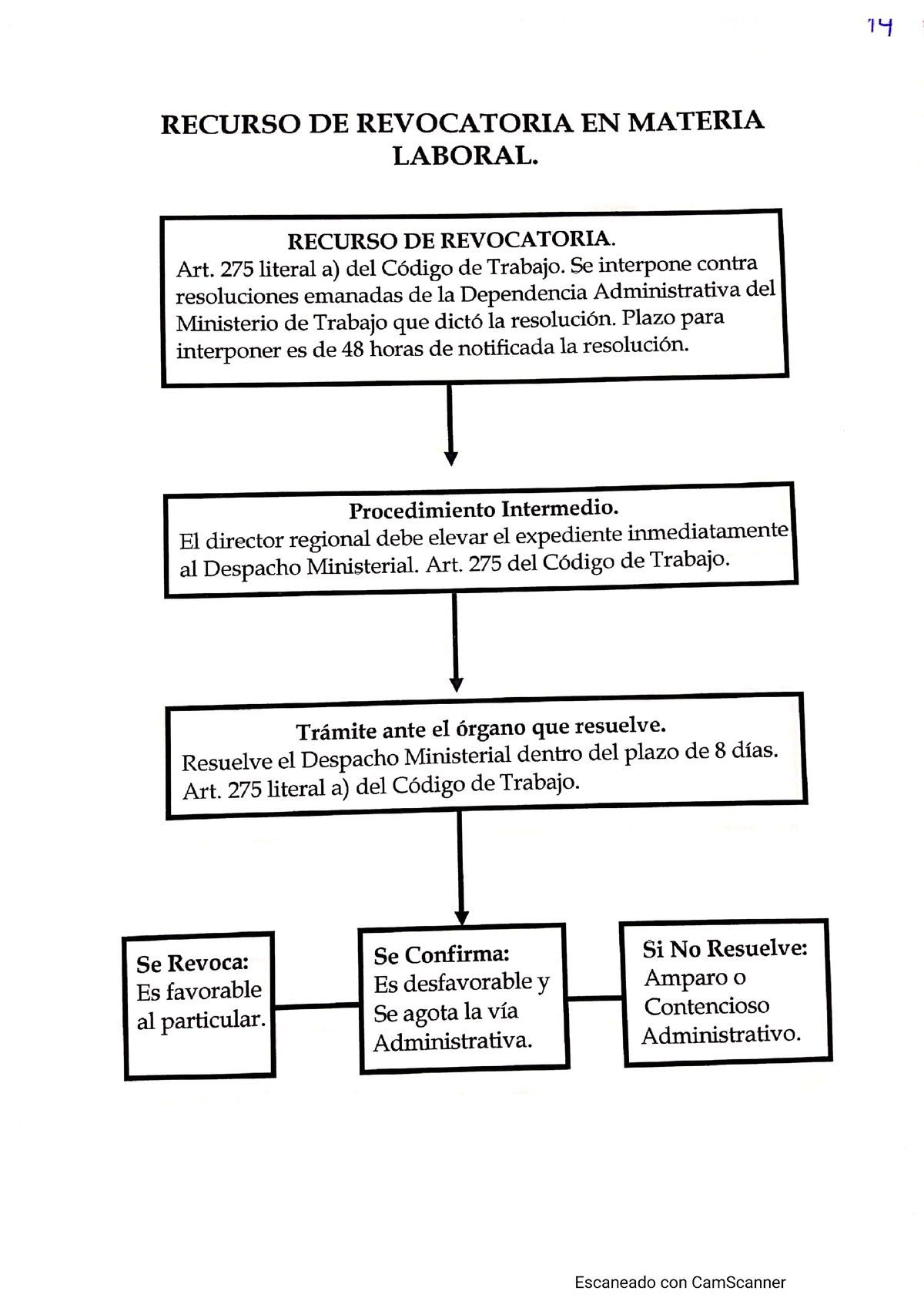 Esquema Revocatoria Y Reposición En Materia Laboral Derecho