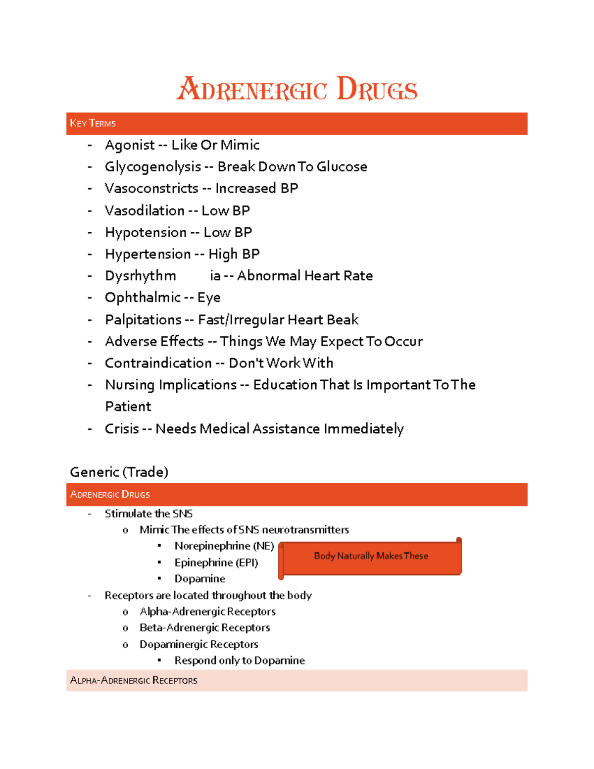 Adrenergic Drugs Studocu