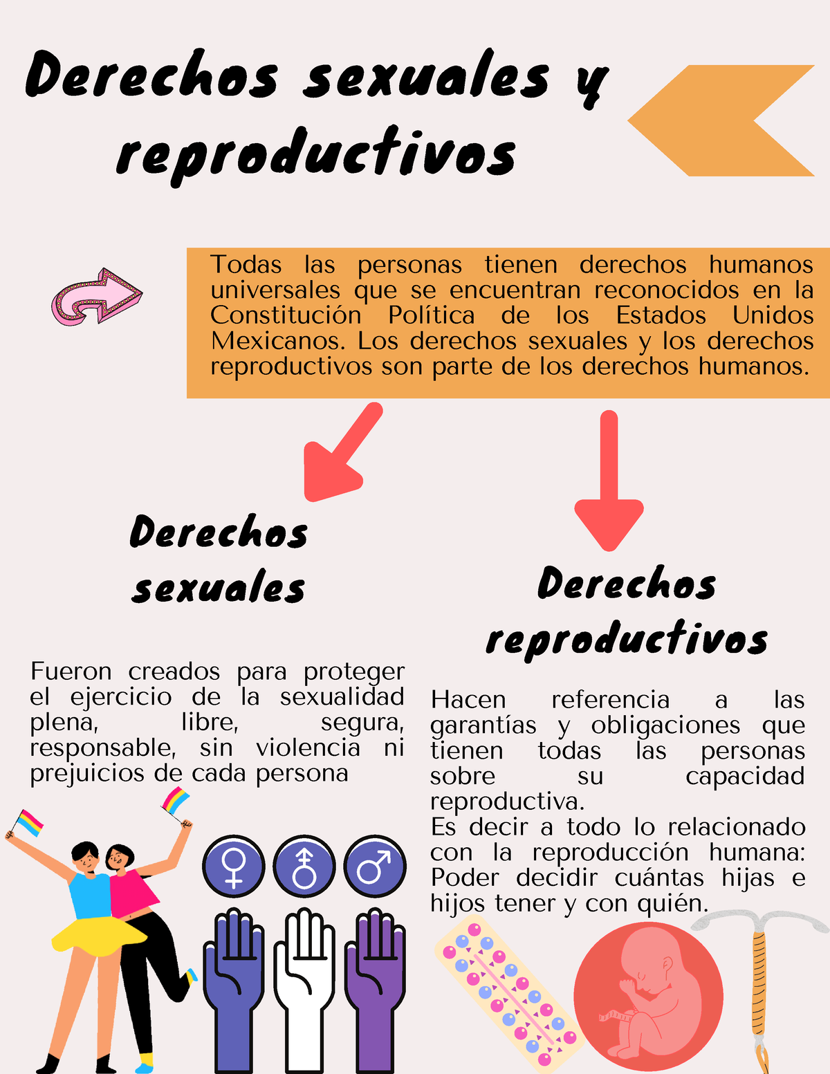 Derechos Sexuales Y Reproductivos De Hombres Y Mujeres Derechos