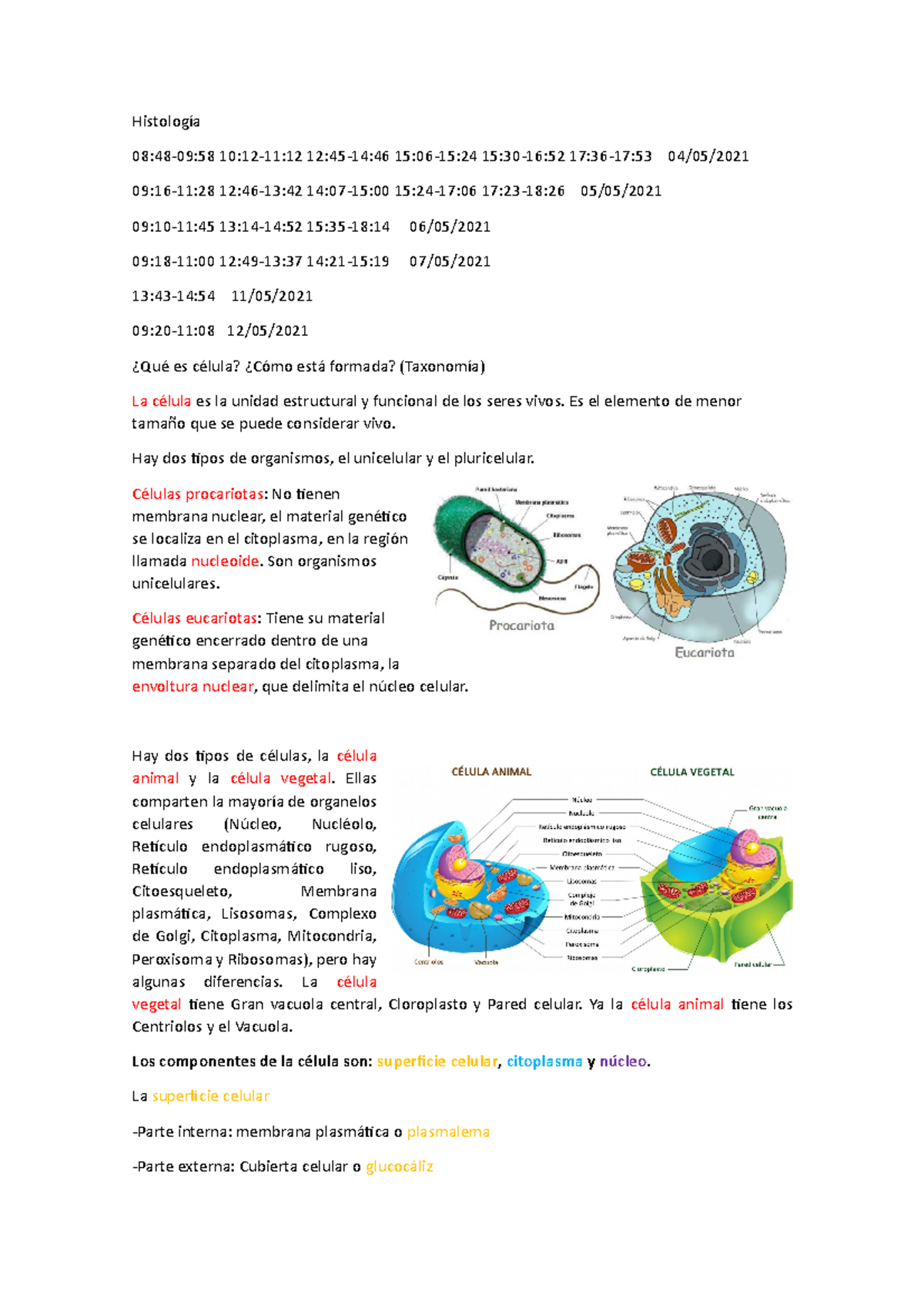 Histología Célula Células Procariotas Células Eucariotas