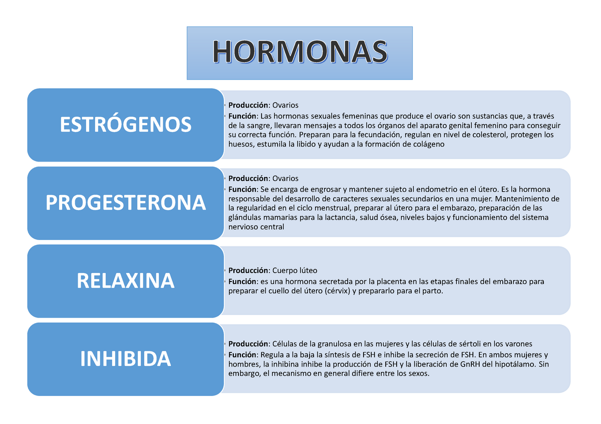 Hormonas Anatomia Producción Ovarios Función Las Hormonas
