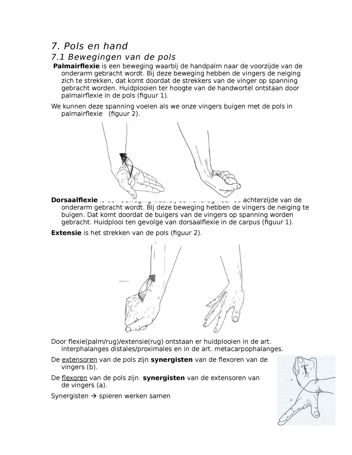 Pols En Hand Pols En Hand 7 Pols En Hand 7 Bewegingen Van De Pols