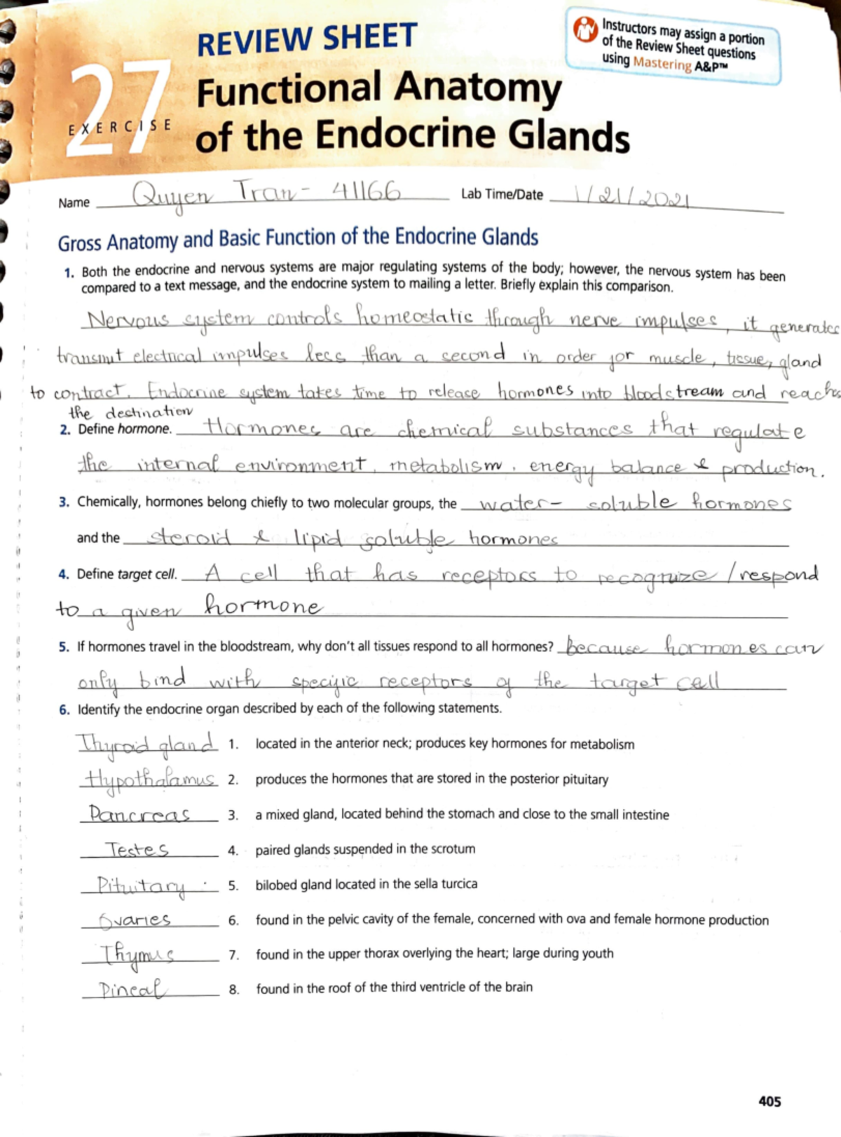 Review Sheet 27 Endocrine Lab Rellew Sheet F ~nctiorr1al Anatomy Llt