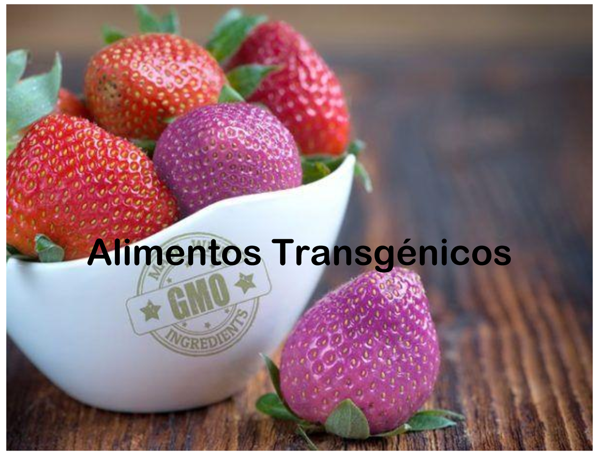 Alimentos Transgénicos Alimentos TransgÈnicos Grupo Ii 8 9 11