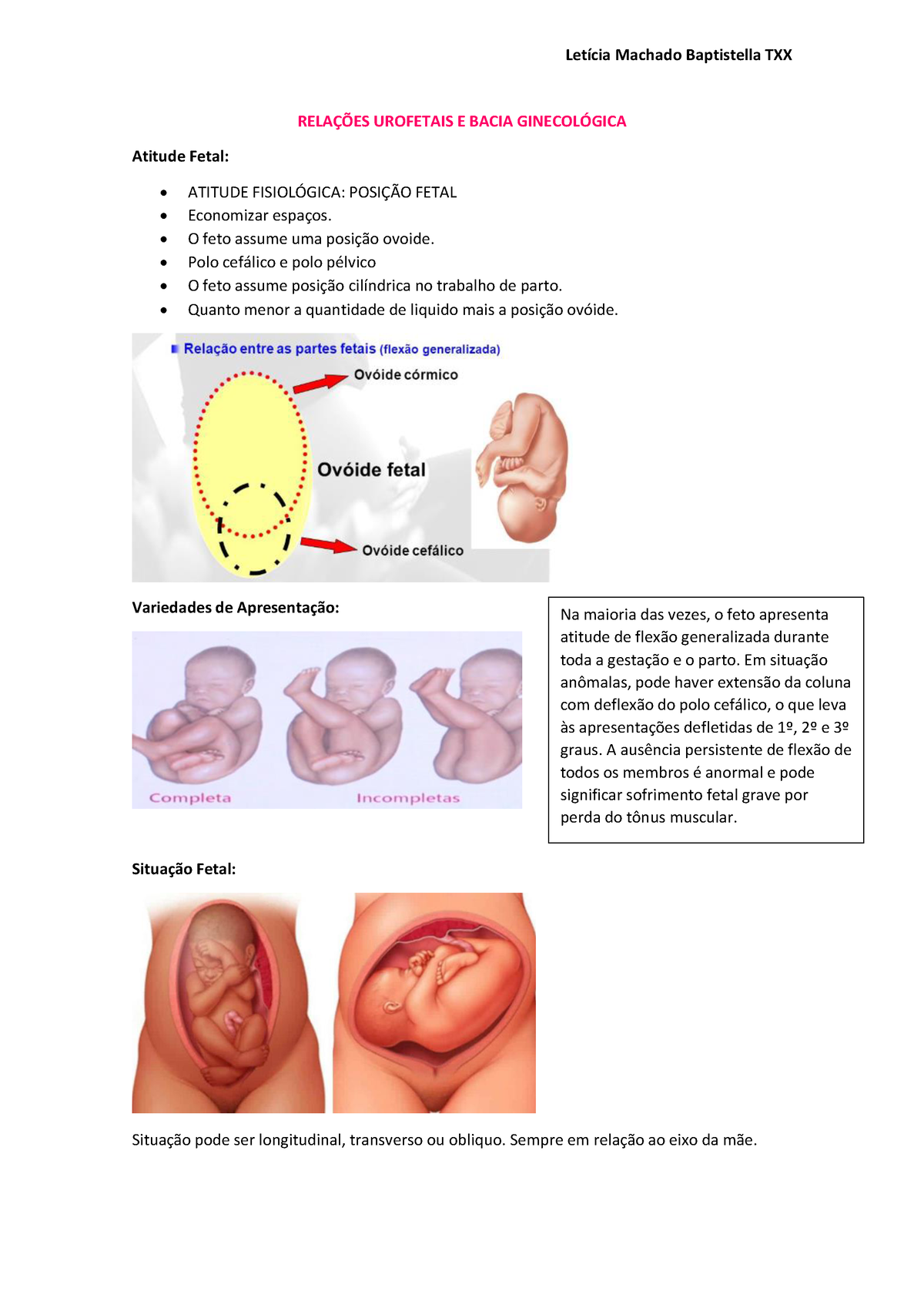 Relações Urofetais E Bacia Ginecológica Relaes Urofetais E Bacia