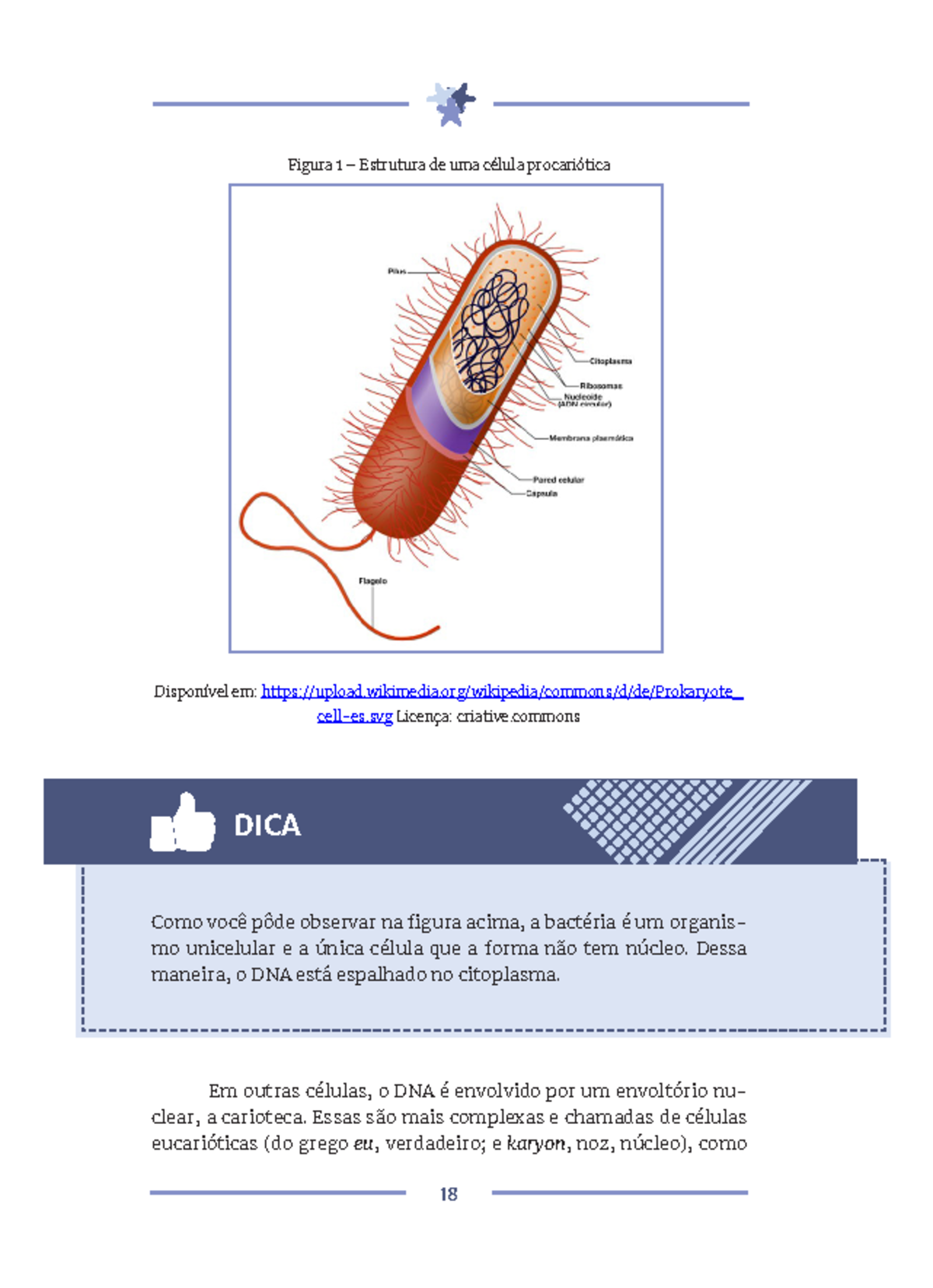 Bases De Biologia Molecular E Tecidual Dica Figura 1 Estrutura De