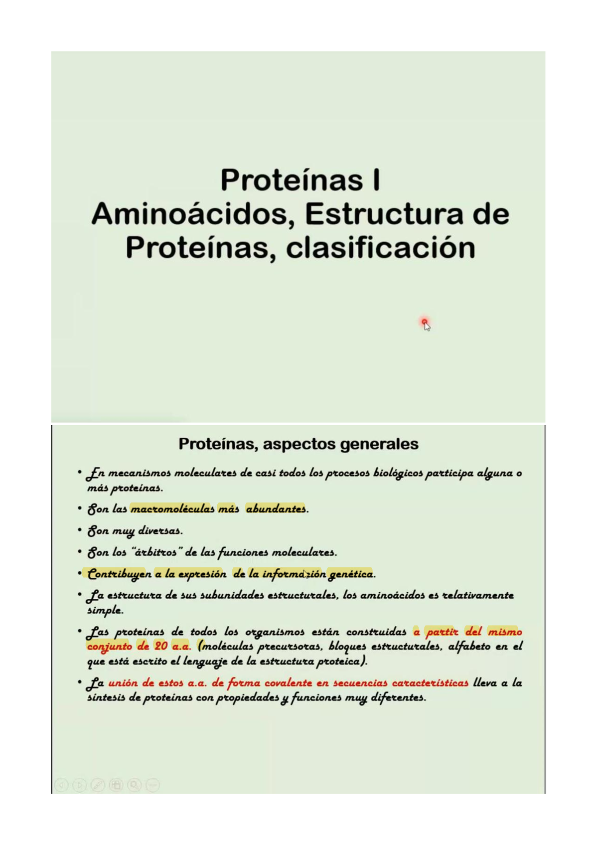 2 Proteinas I Ensayos Proteínas Aminoácidos Estructura De