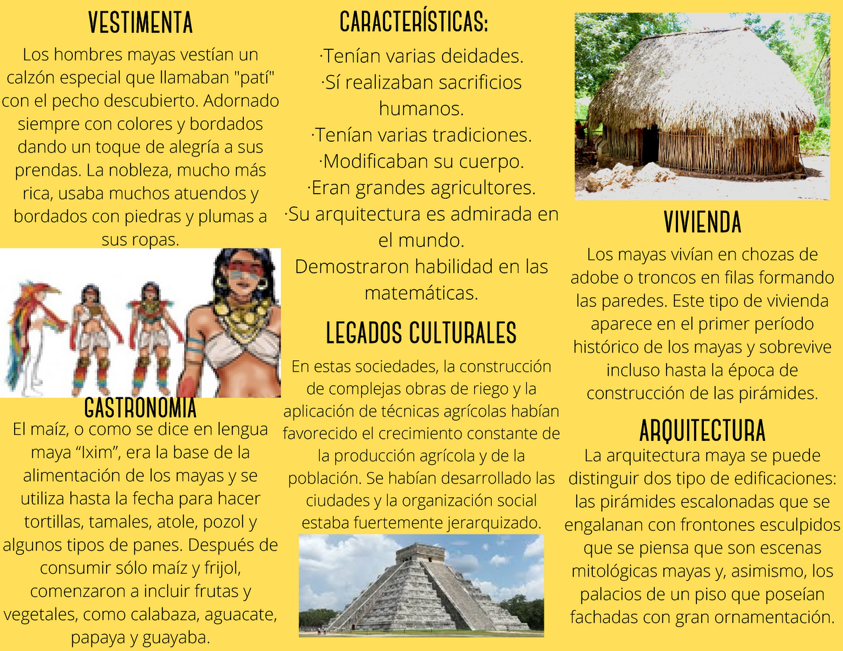 Triptico De Cultura Maya Con Informacion Características ·tenían