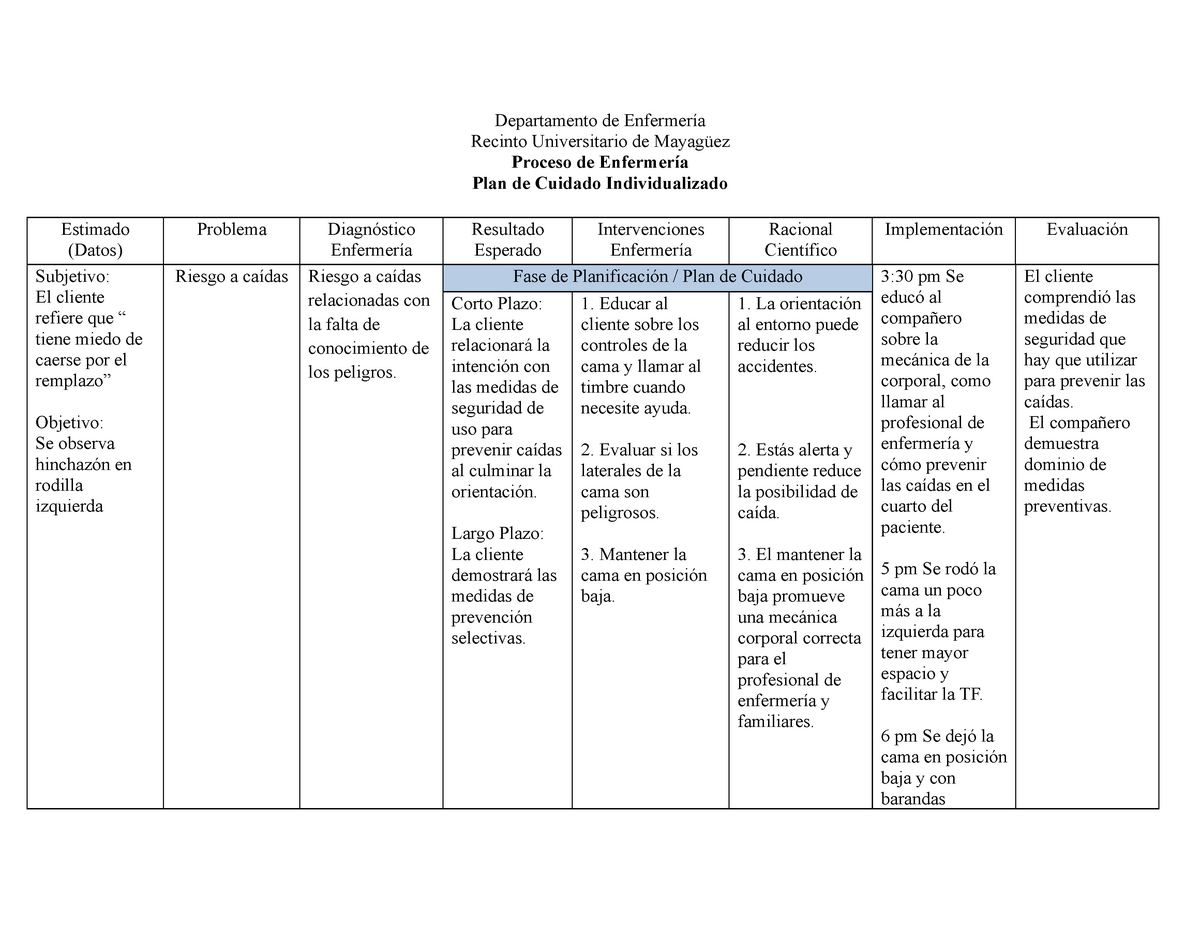 Riesgo 1 Planes De Cuidado De Paciente Departamento De Enfermería