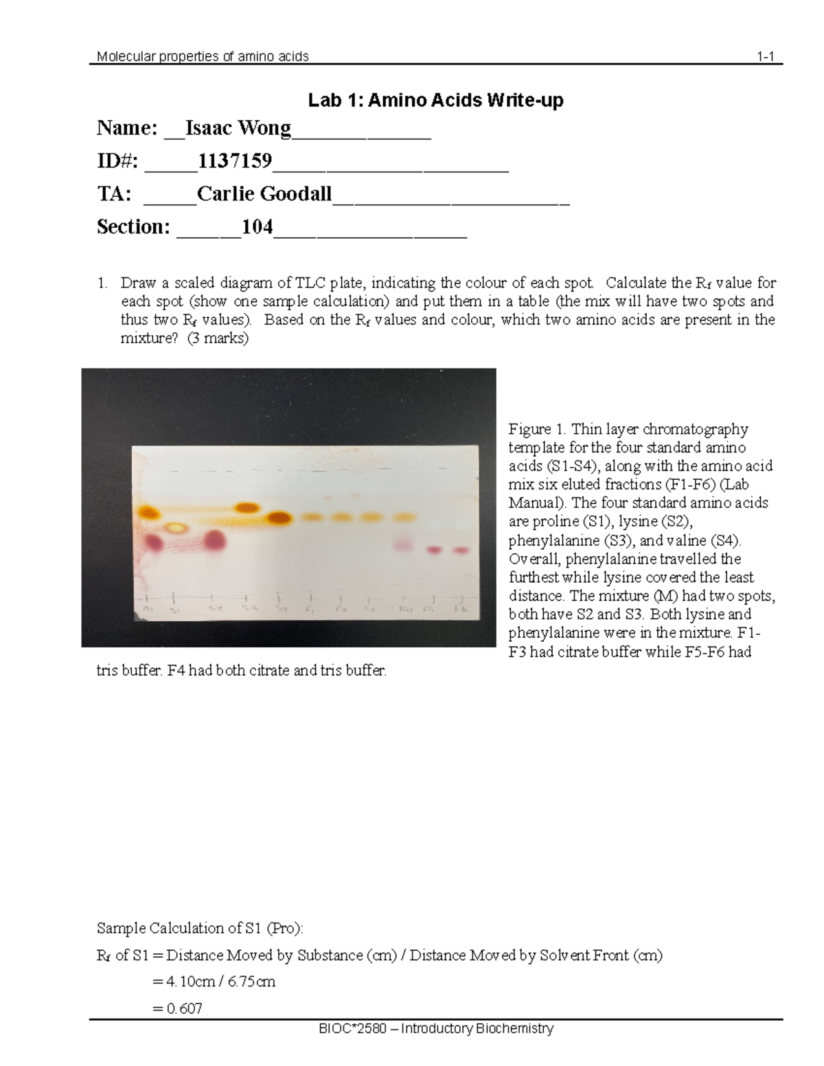 Amino Acid Lab Na Bioc 2580 U Of G Studocu