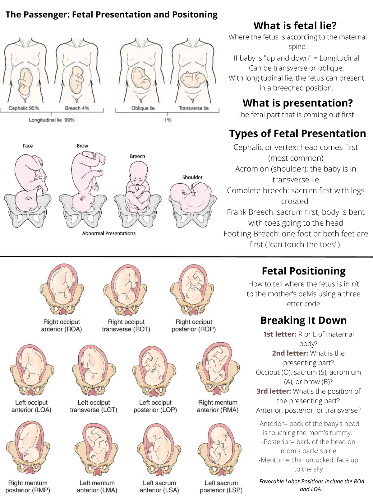 Vertex Position Fetal Position In