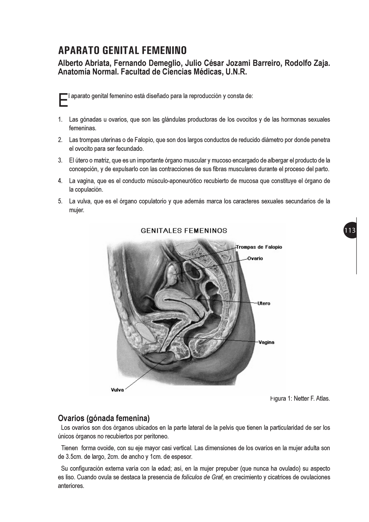 Aparato Genital Femenino Anatomia 113 Aparato Genital Femenino