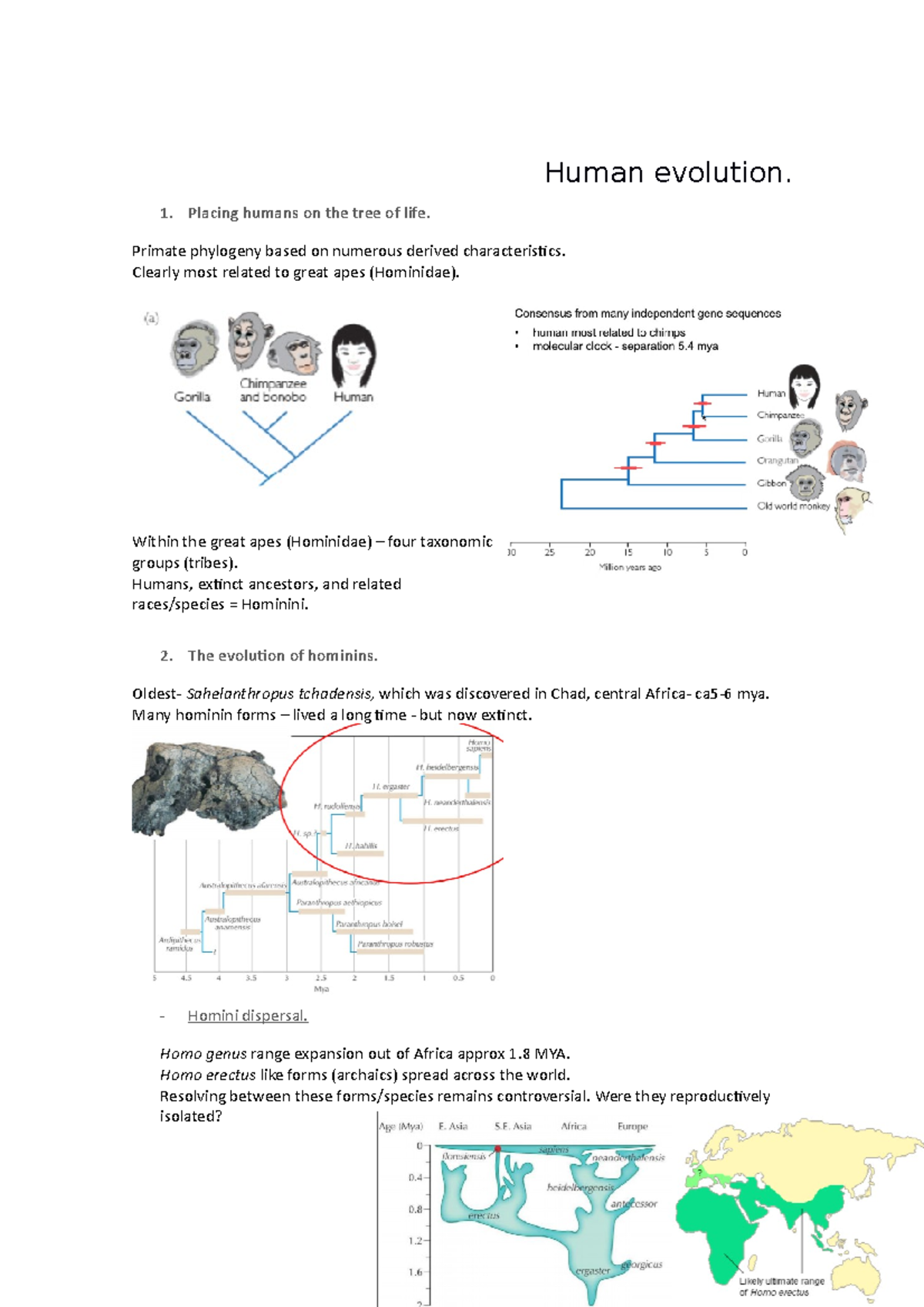 20 Human Evolution Lecture Notes 20 Human Evolution 1 Placing