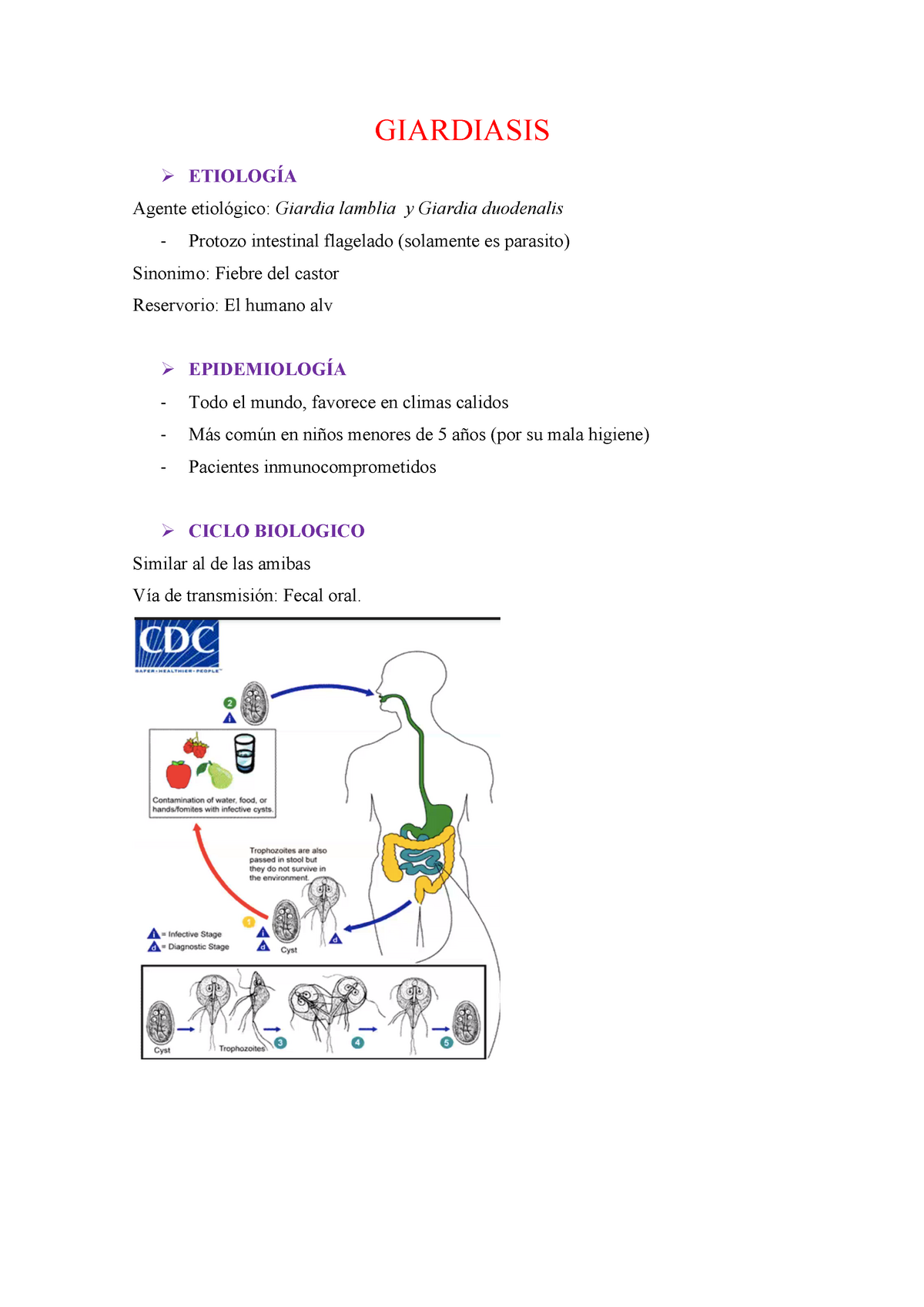 Giardiasis Trichomoniasis Etiología Ciclo Biológico Epidemiología