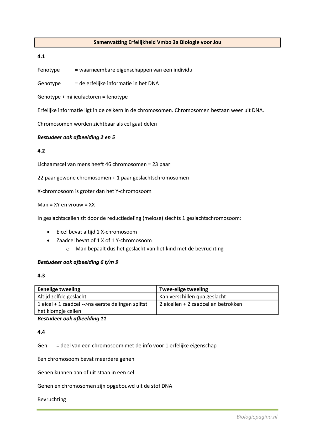 Biologie Samenvatting 4 Samenvatting Erfelijkheid Vmbo 3a Biologie