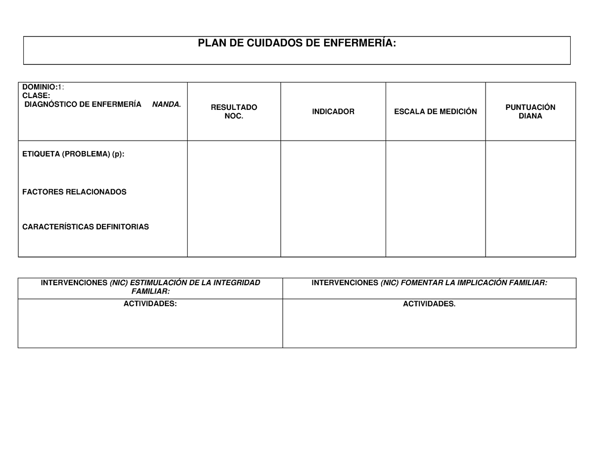 Formato De Place Docx Plan De Cuidados De EnfermerÍa Dominio1