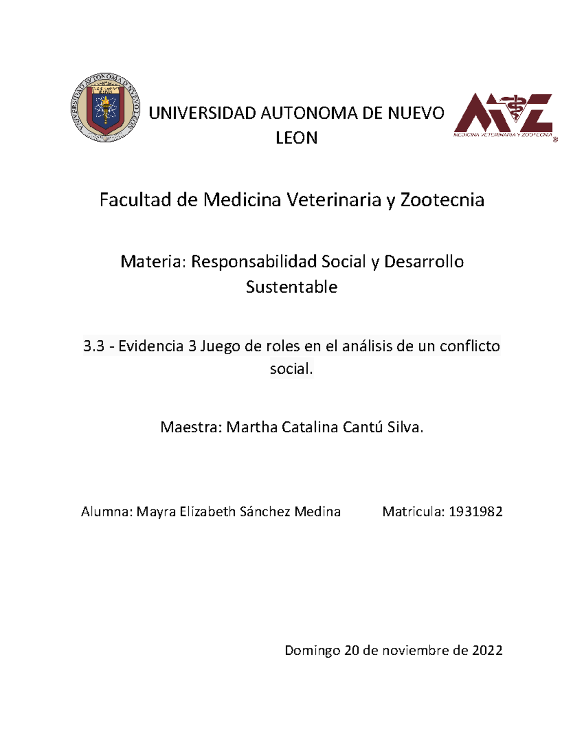 33 Evidencia 3 Juego De Roles En El Análisis De Un Conflicto Social