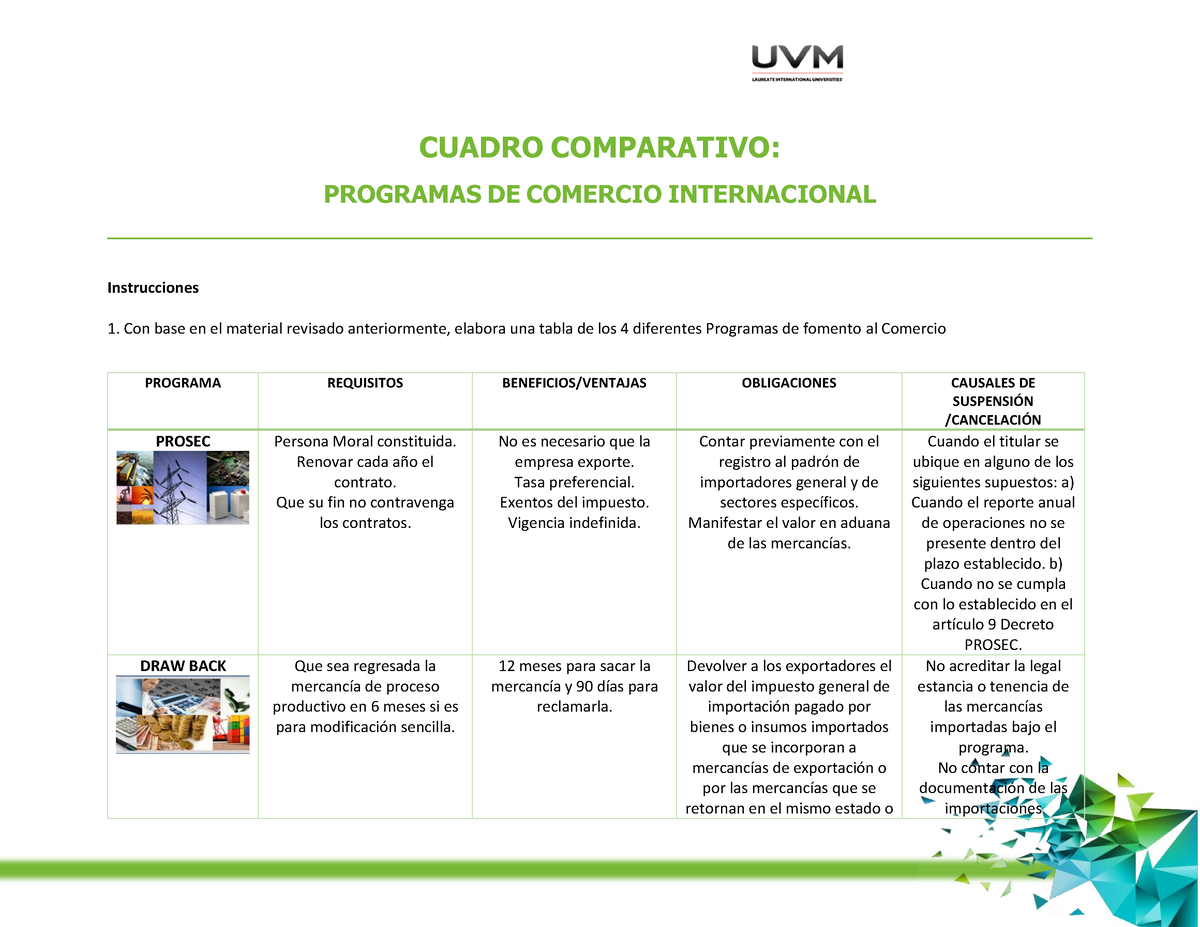 Actividad 10 Cuadro Comparativo Programas De Comercio Internacional