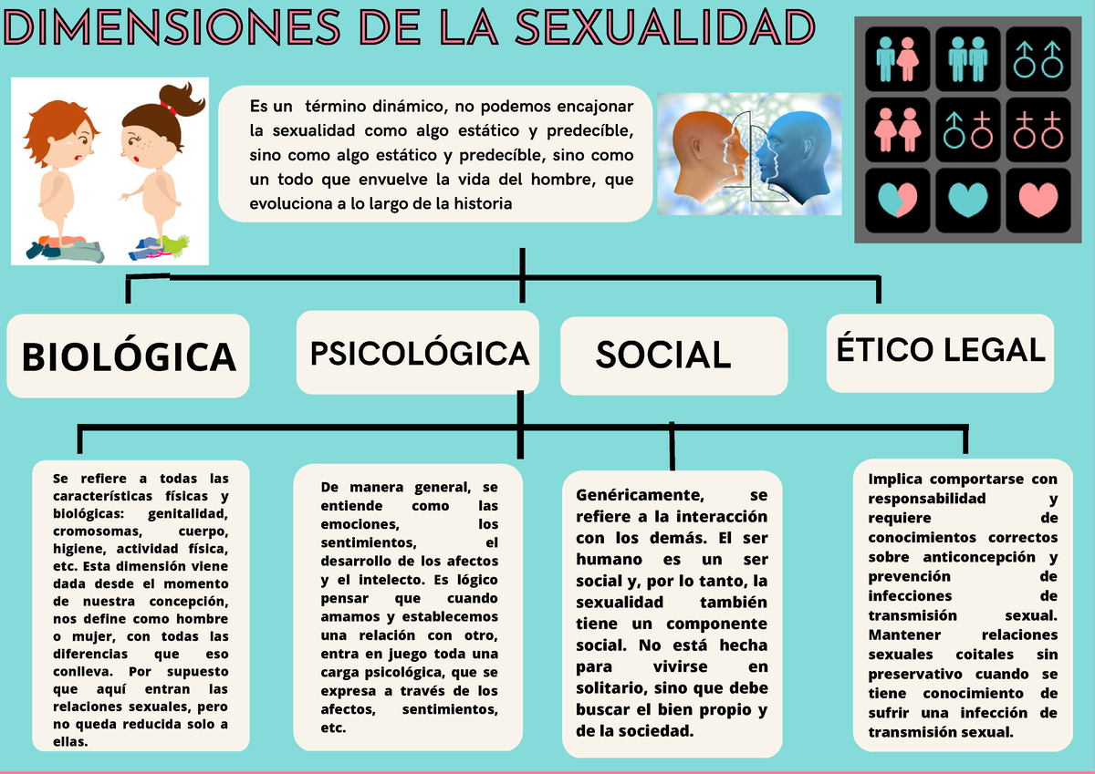 Dimensiones De La Sexualidad Dimensiones De La Sexualidaddimensiones