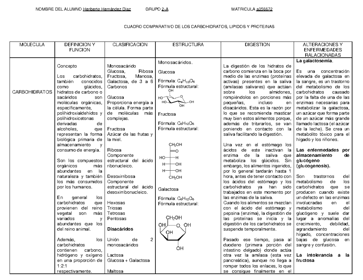 Cuadro Comparativo Biomoleculas Lipidos Proteinas Carbohidratos The