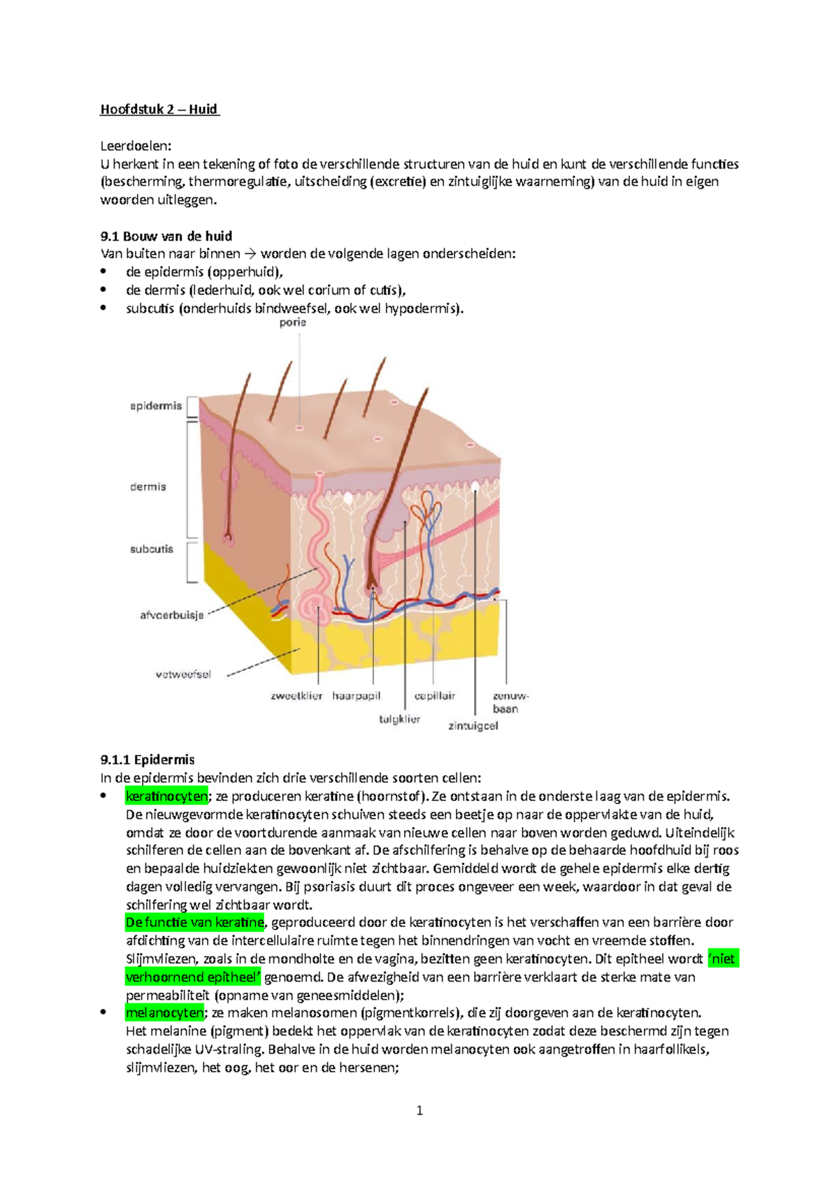 Hoofdstuk 2 Huid En Thermoregulatie Hoofdstuk 2 Huid Leerdoelen U