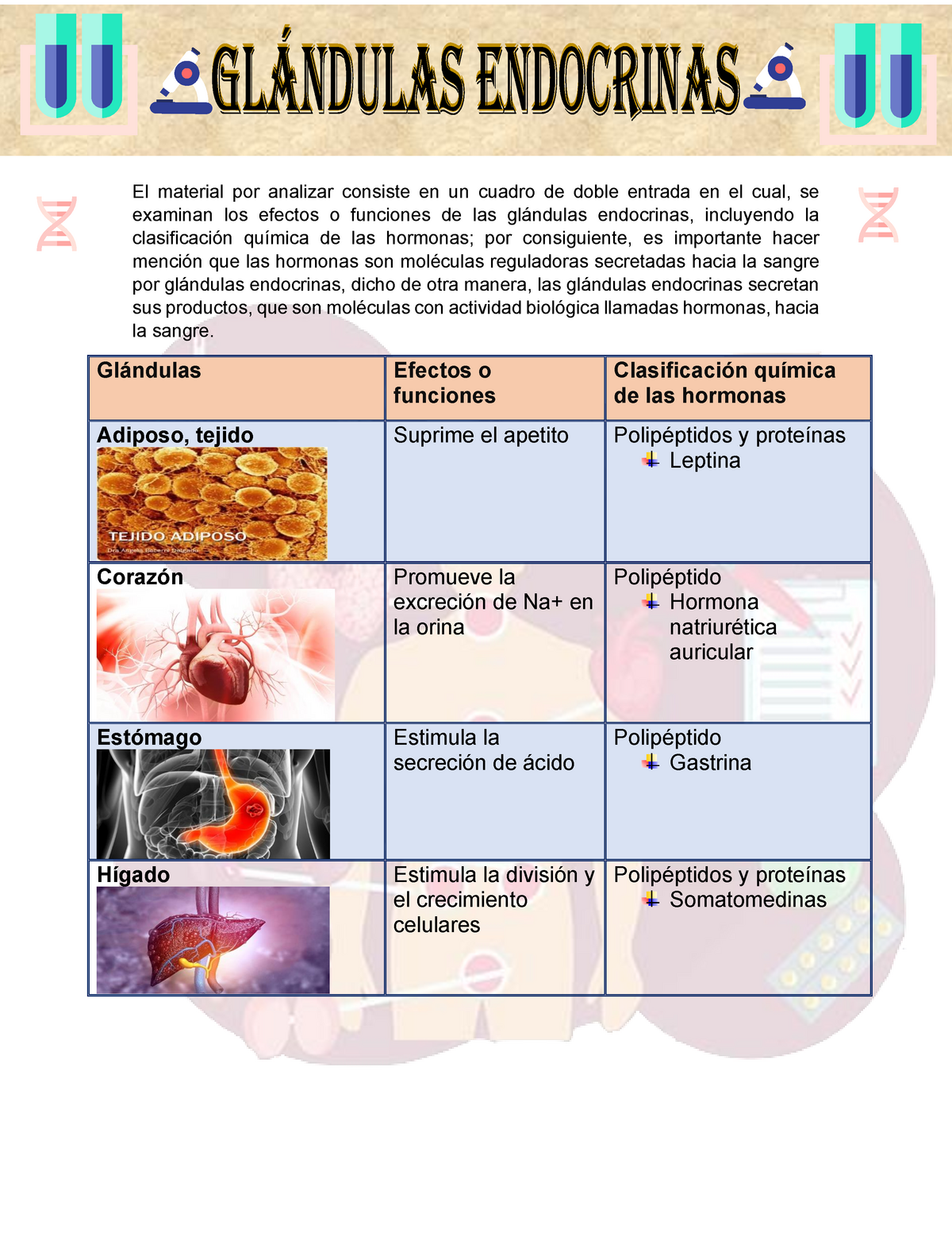 Glándulas Endocrinas Cuadro De Doble Entrada 1 El Material Por