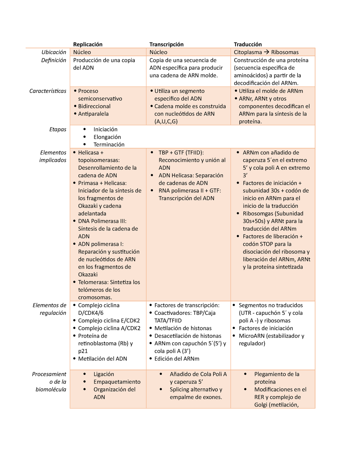 Replicación Transcripcion Y Traduccion Replicación Transcripción