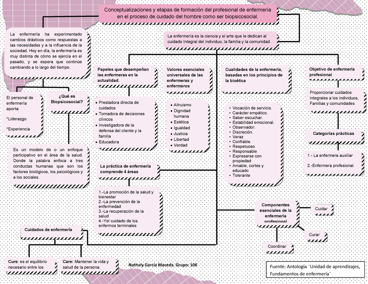 Evidencia Mapa Conceptual Conceptualizaciones Y Las Etapas De