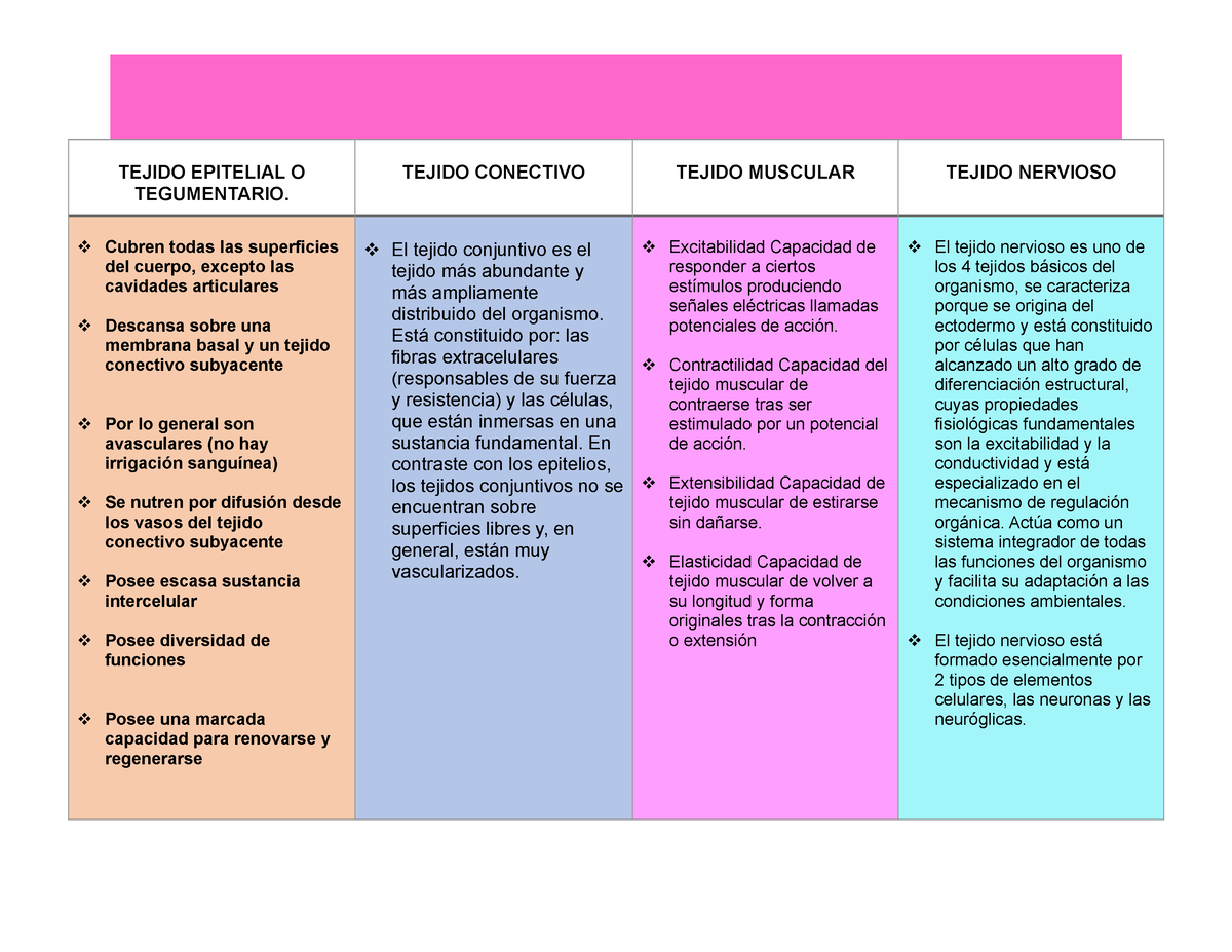 Cuadros Comparativos De Anatomia Humana 2021 Universidad De El Salvador