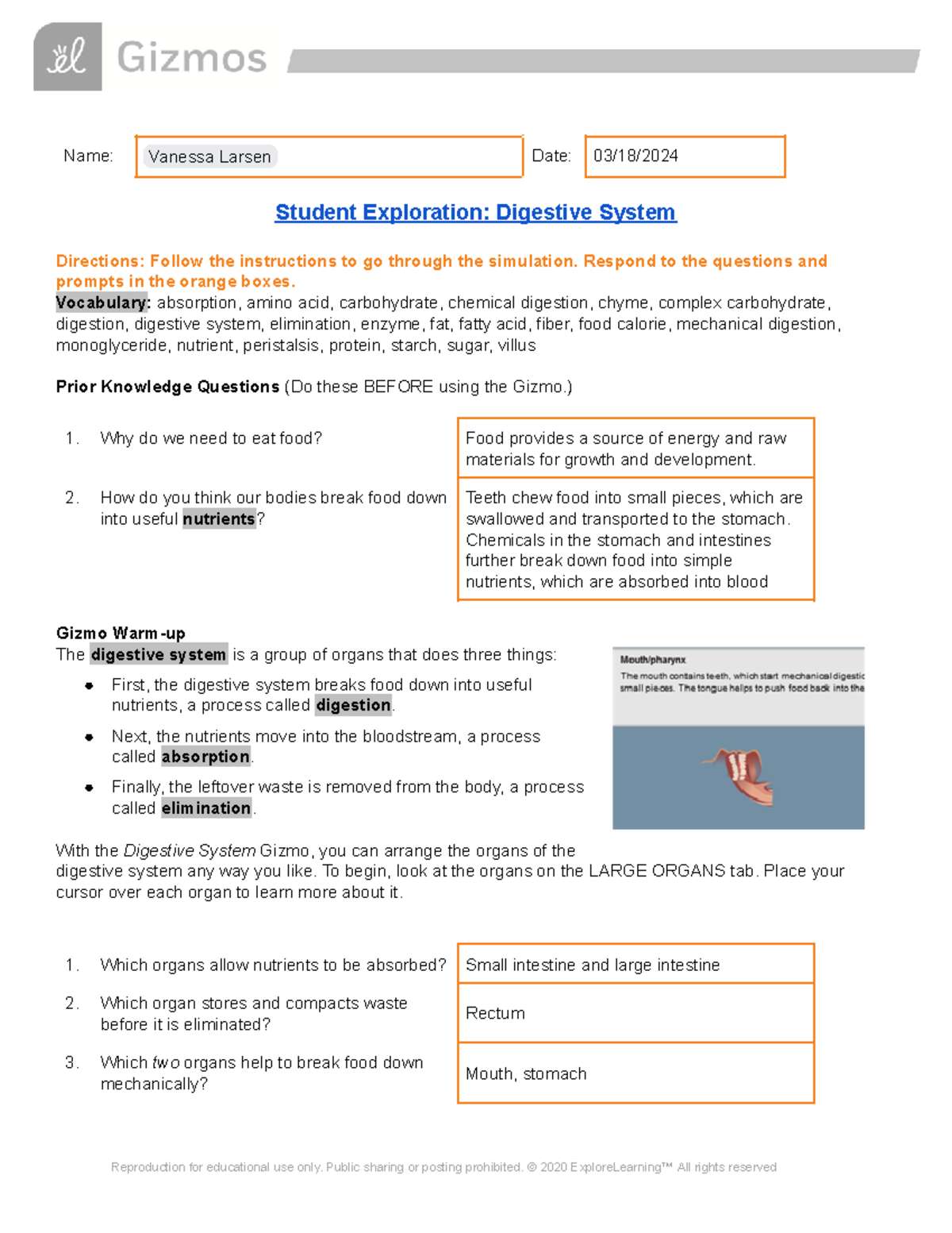 Copy Of Digestive System Gizmo Student Exploration Sheet Name