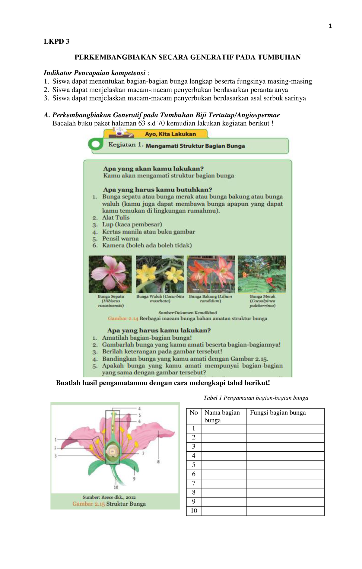 Lkpd Sistem Perkembangbiakan Tumbuhan Worksheet Hot Sex Picture